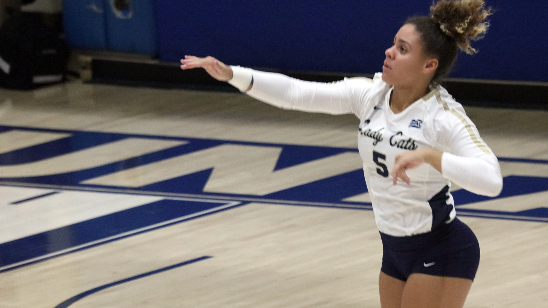 Jaden Gray - Women's Volleyball - University of Pittsburgh at Johnstown ...