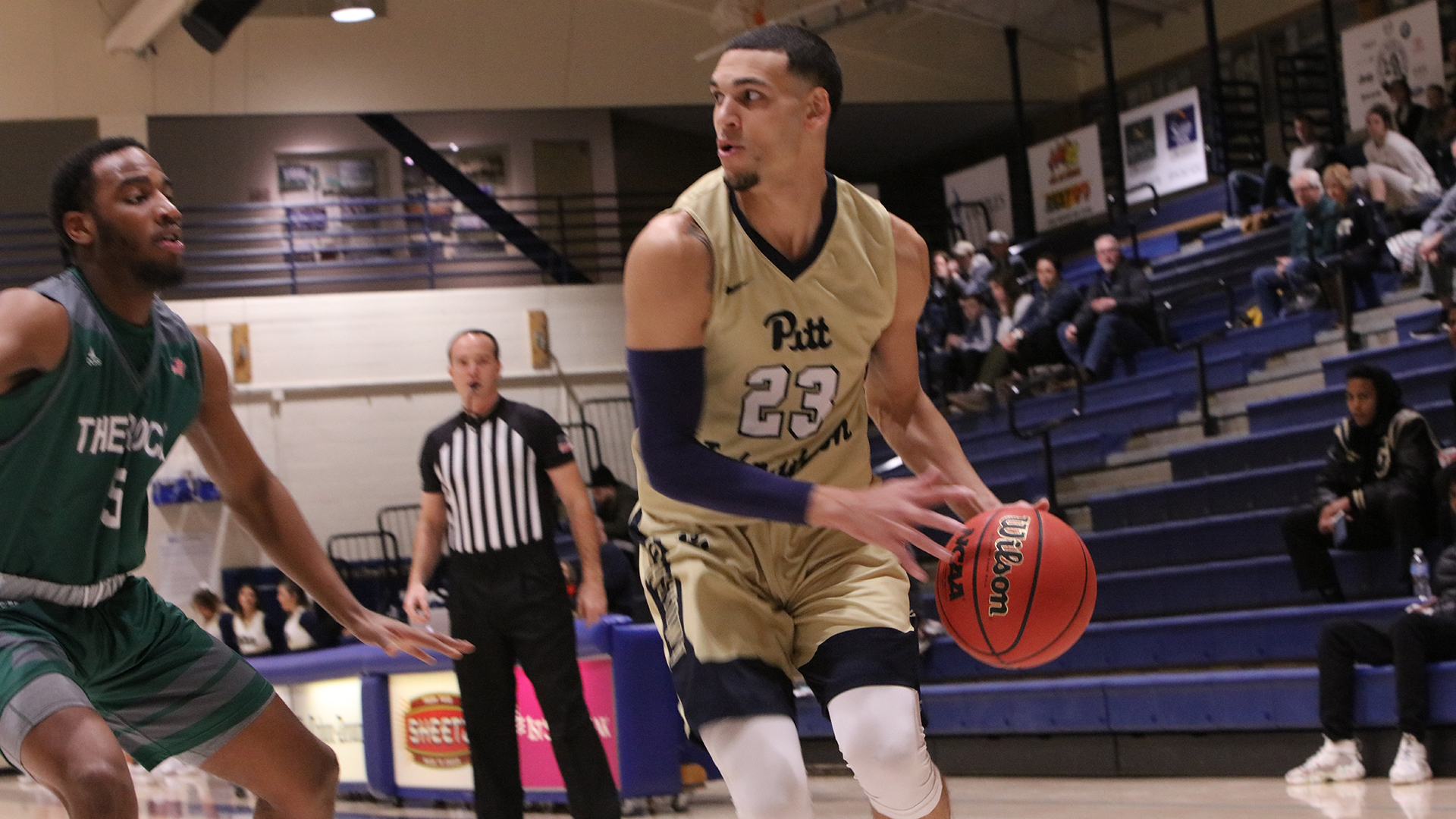 Josh Wise - Men's Basketball - University of Pittsburgh at Johnstown ...