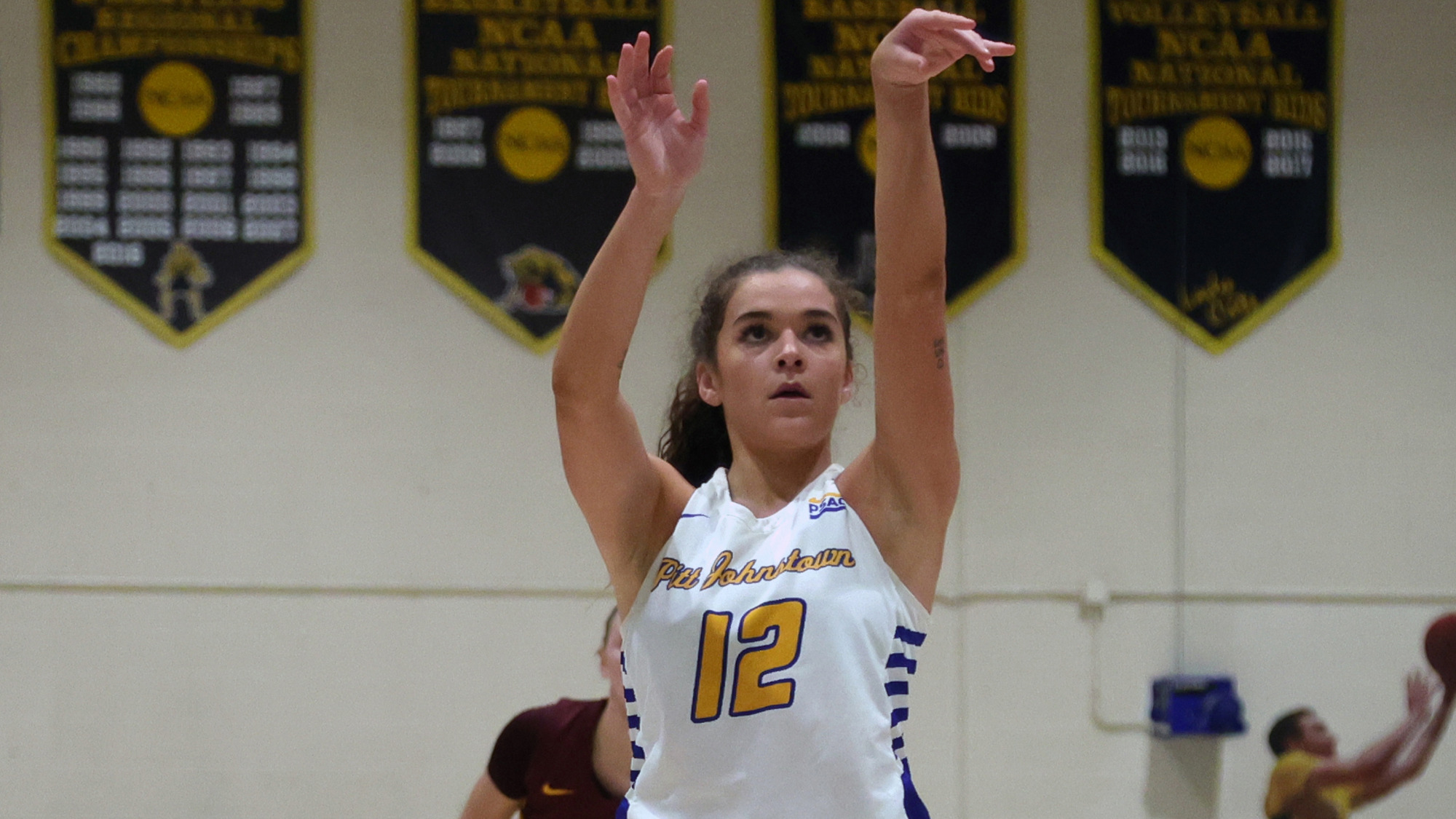 Hayden Taylor - Women's Basketball - University of Pittsburgh at ...