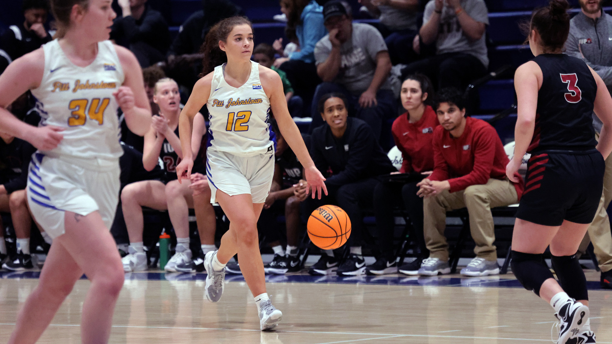 Hayden Taylor - Women's Basketball - University of Pittsburgh at ...