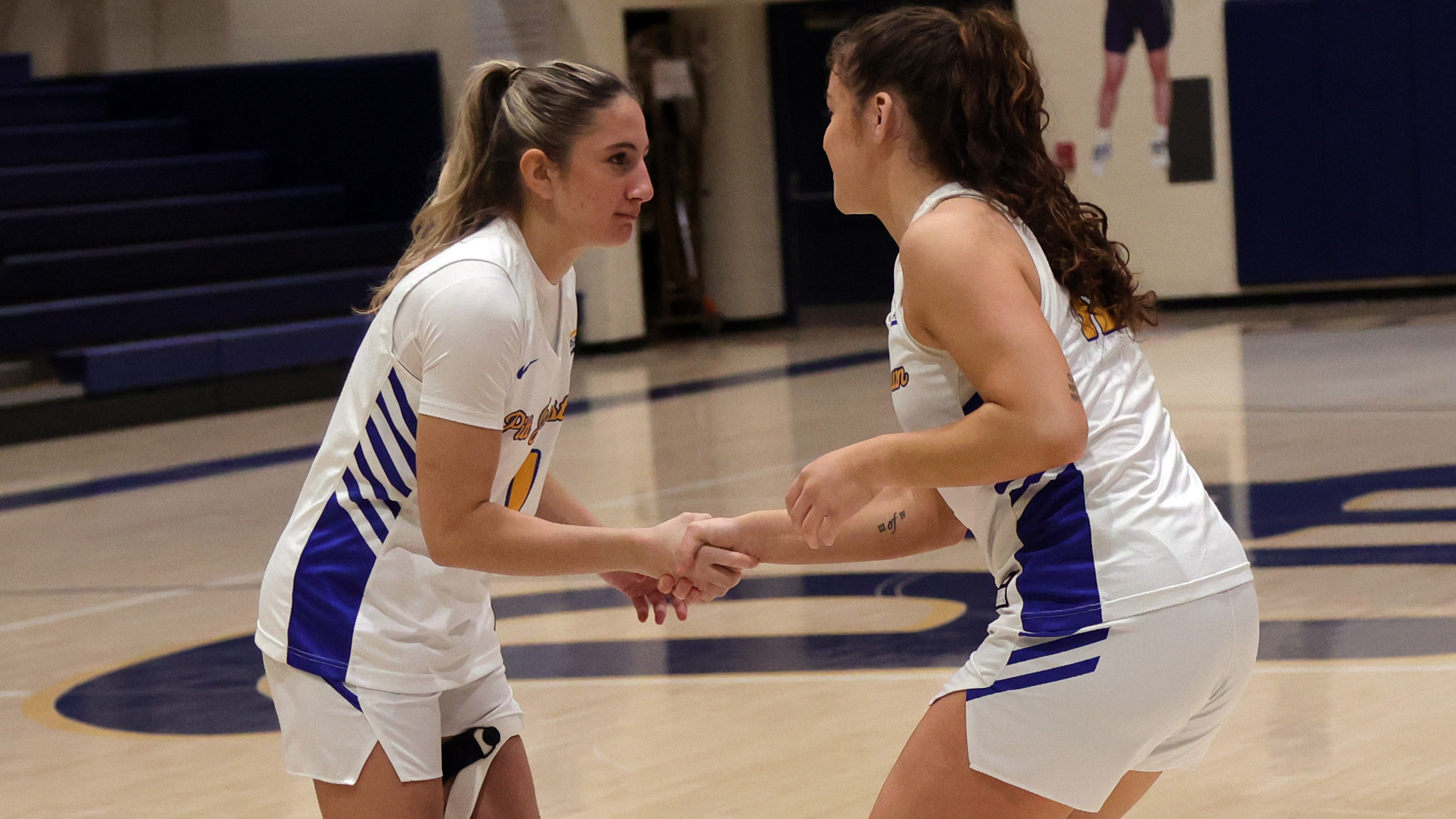 Hayden Taylor - Women's Basketball - University of Pittsburgh at ...