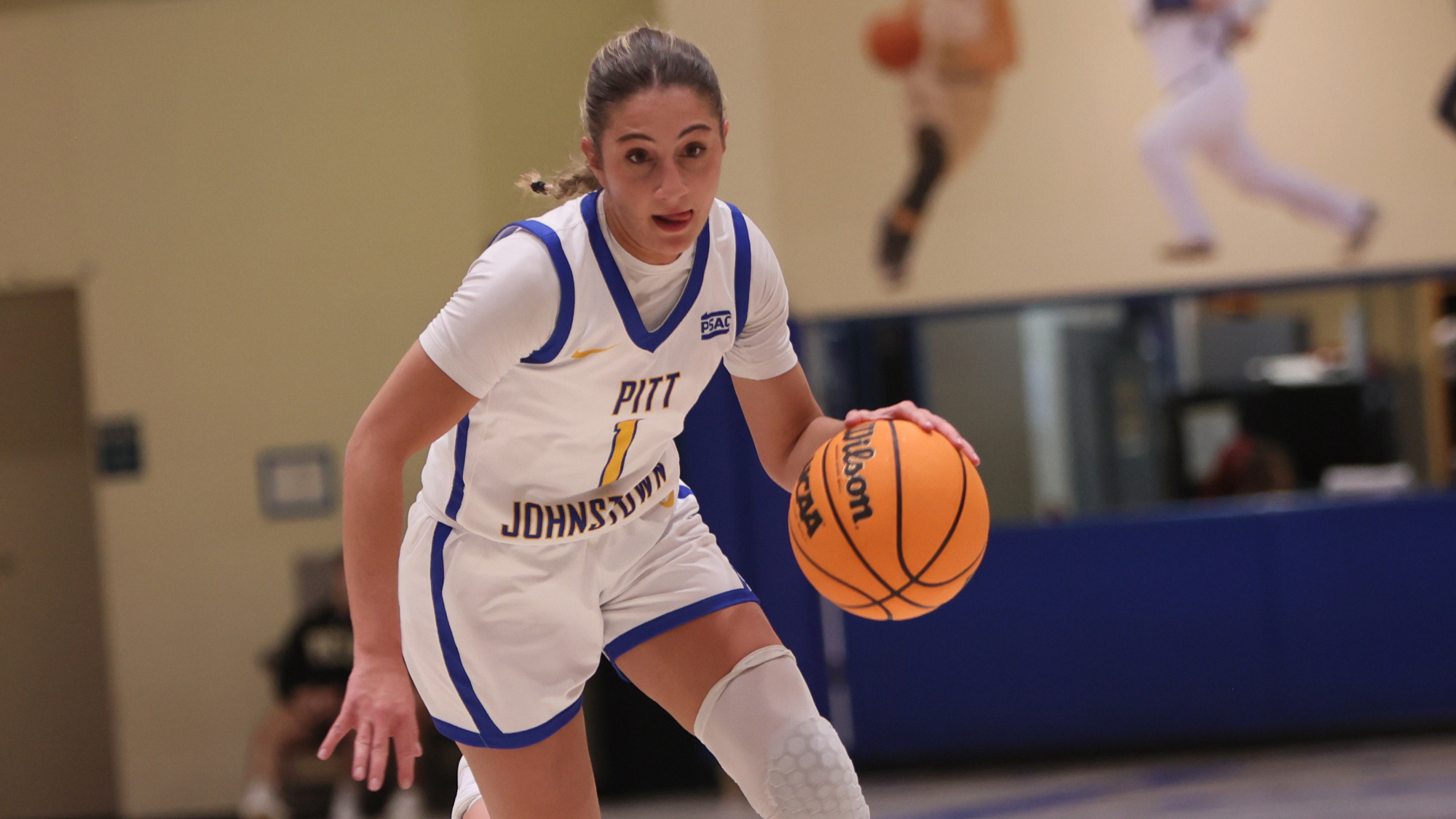 Krista Troyer - Women's Basketball - University of Pittsburgh at ...