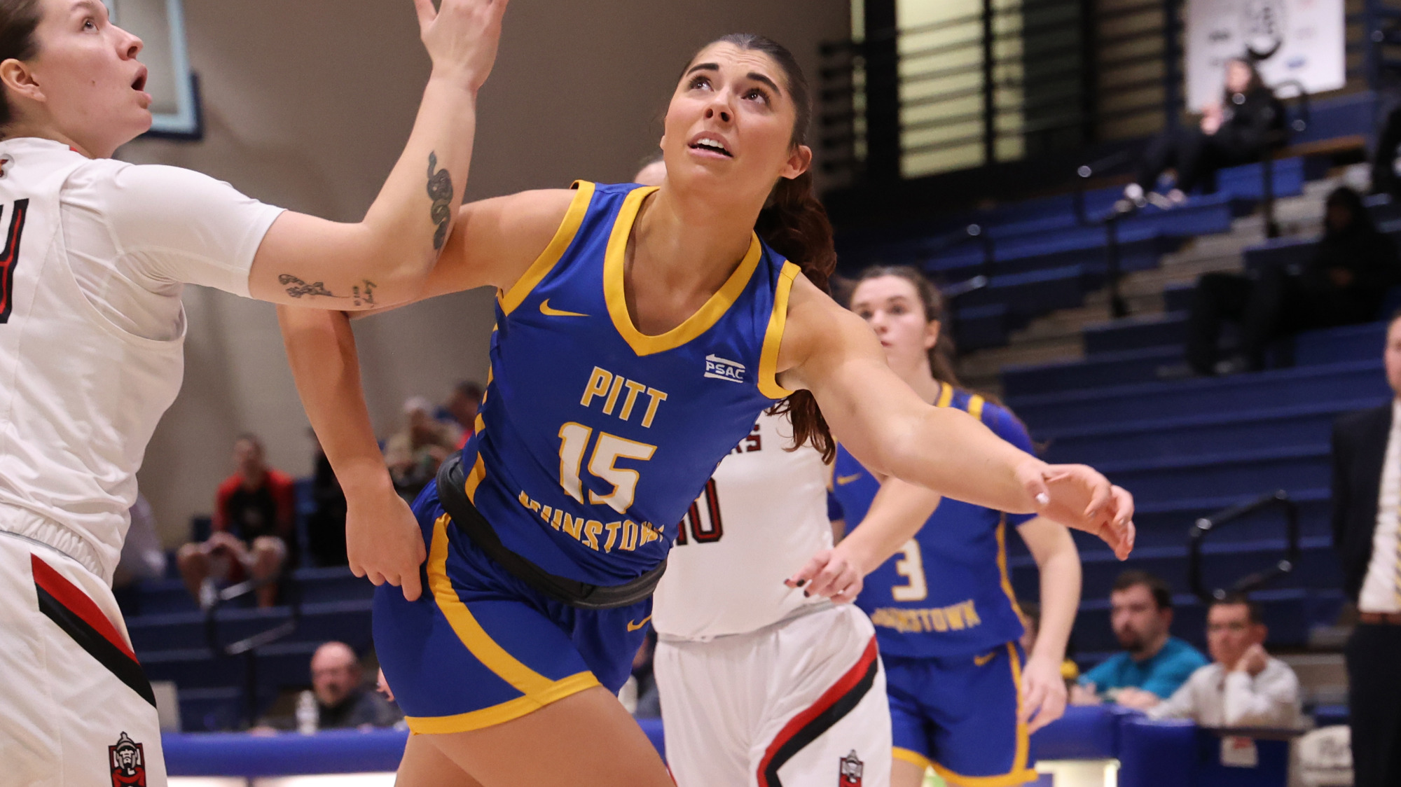 Mountain Cats overrun by late Mercyhurst rally - University of ...