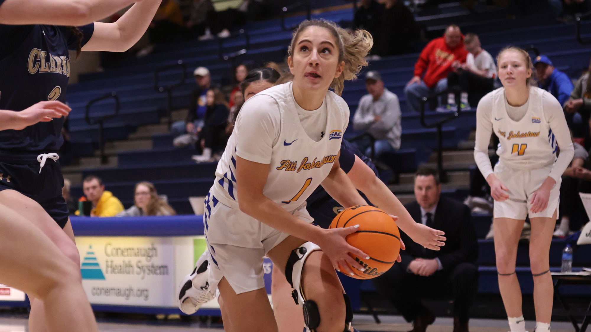 Krista Troyer - Women's Basketball - University of Pittsburgh at ...