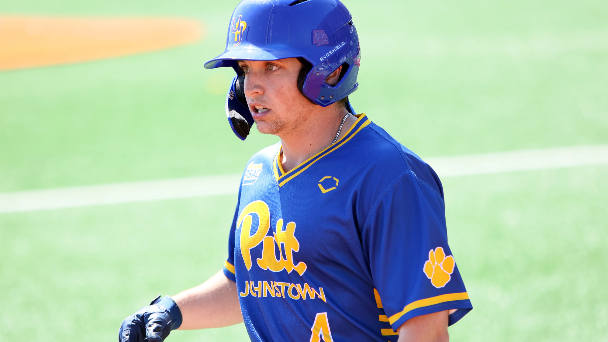 Dylan Broderick - Baseball - University of Pittsburgh at Johnstown ...