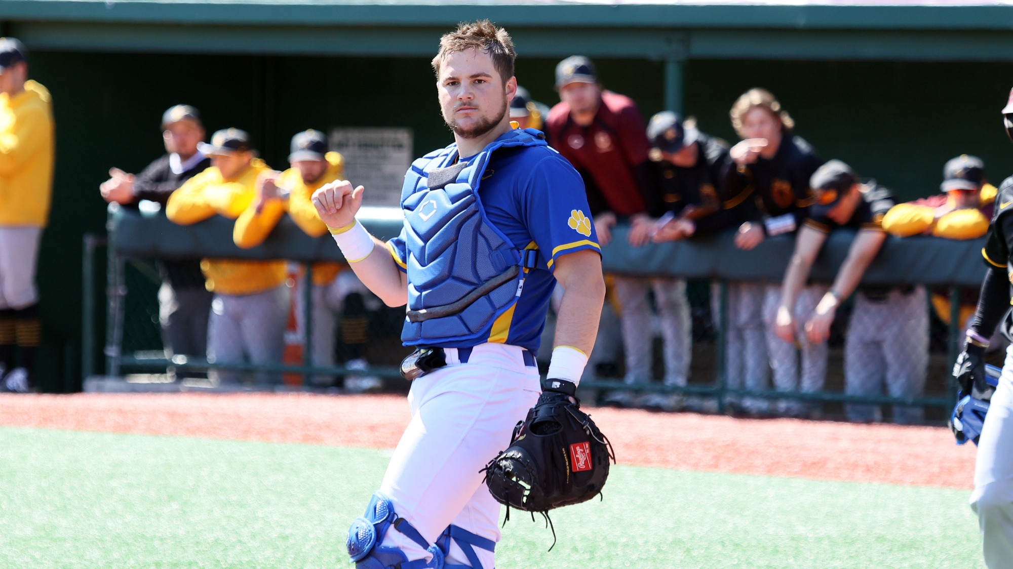Asher Corl - Baseball - University of Pittsburgh at Johnstown Athletics