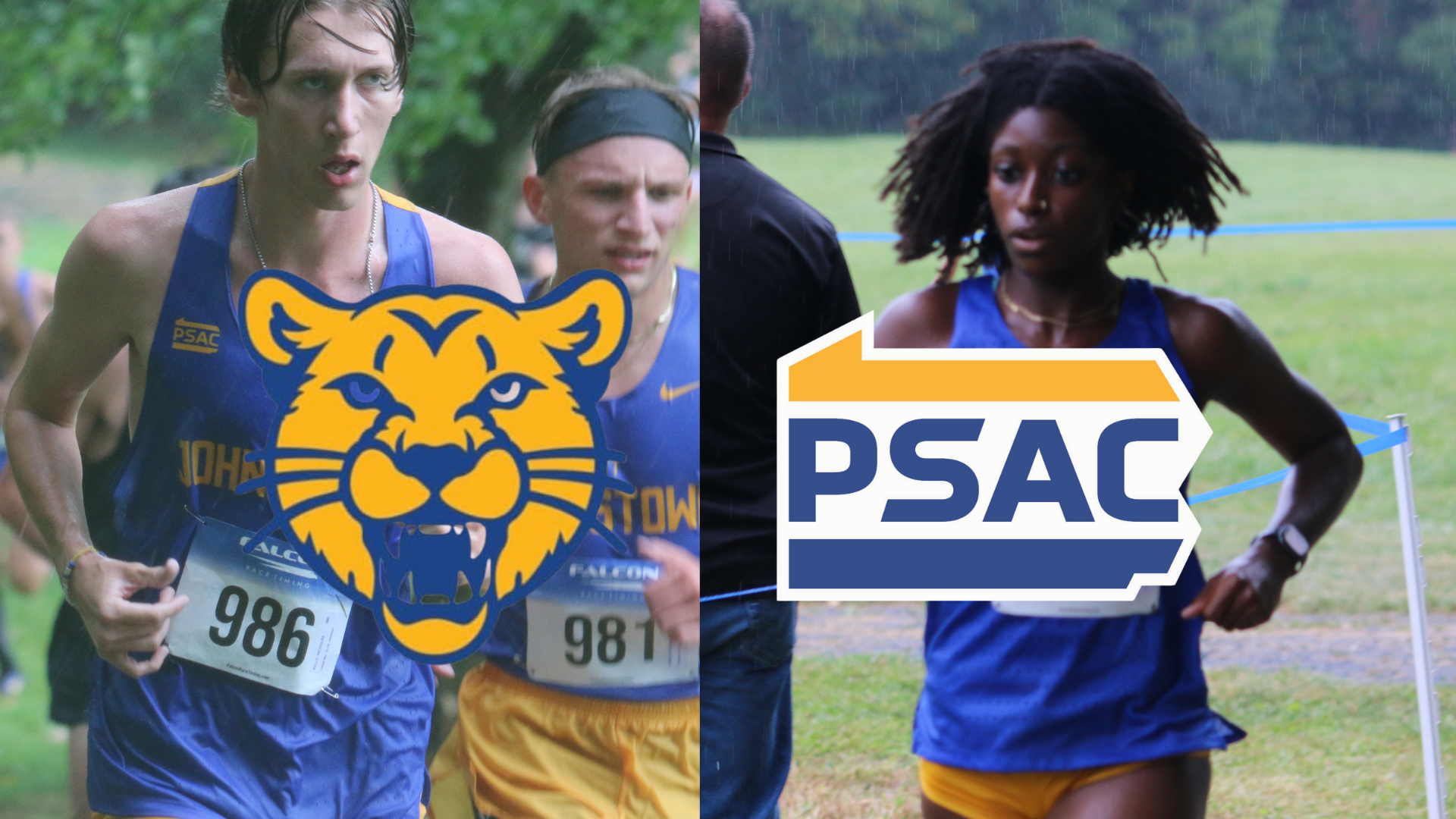 Mienke Leads Mountain Cats at NCAA Regional Cross Country Meet ...