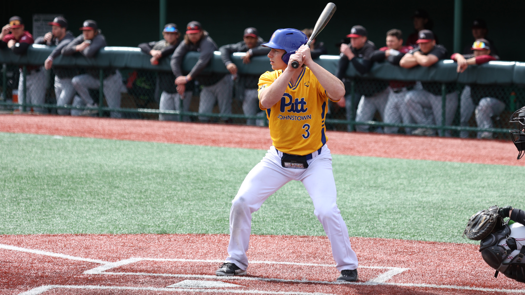 Alex Glumac - Baseball - University of Pittsburgh at Johnstown Athletics