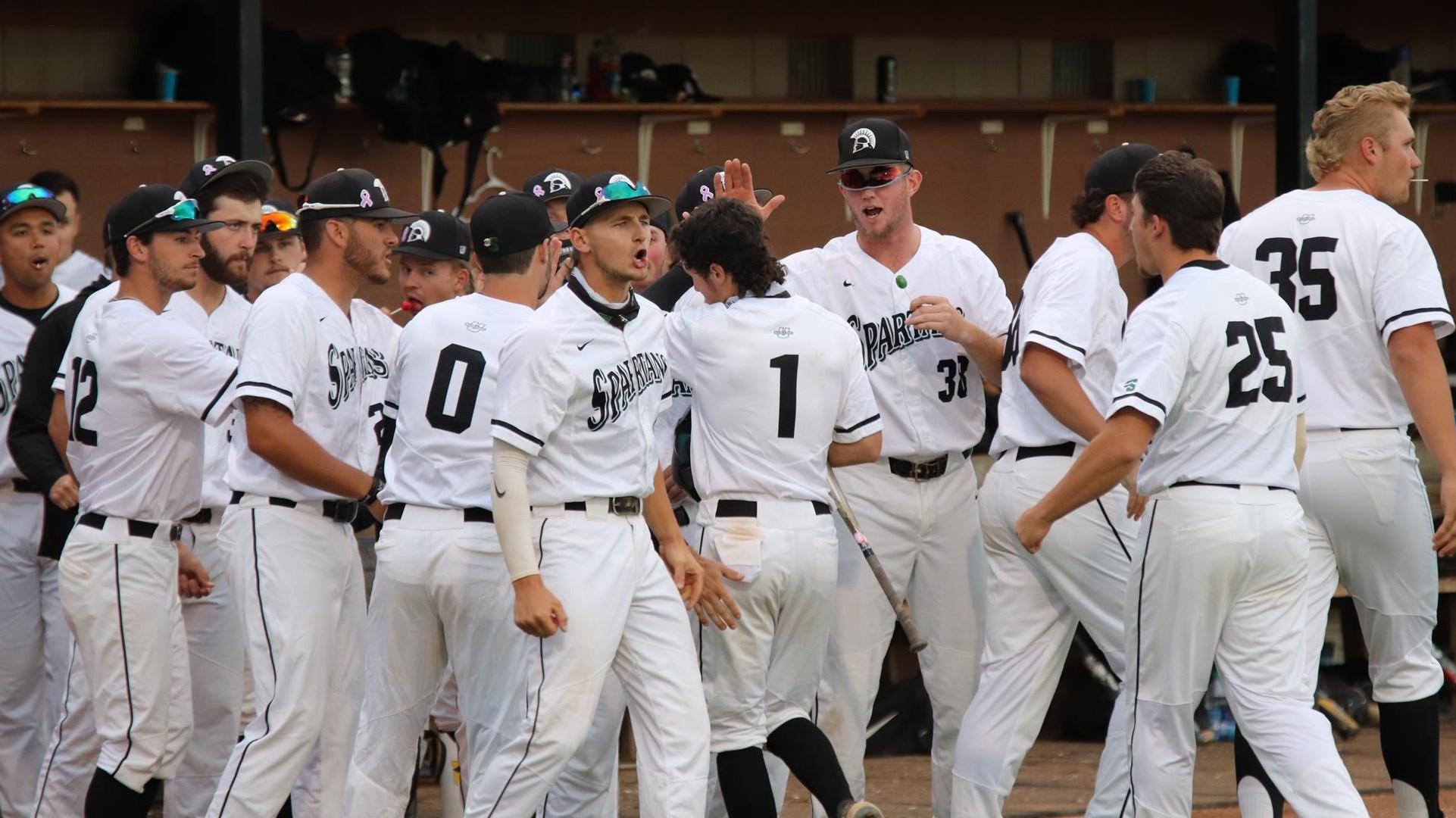 Baseball Falls in Series Opener against Campbell - University of South ...