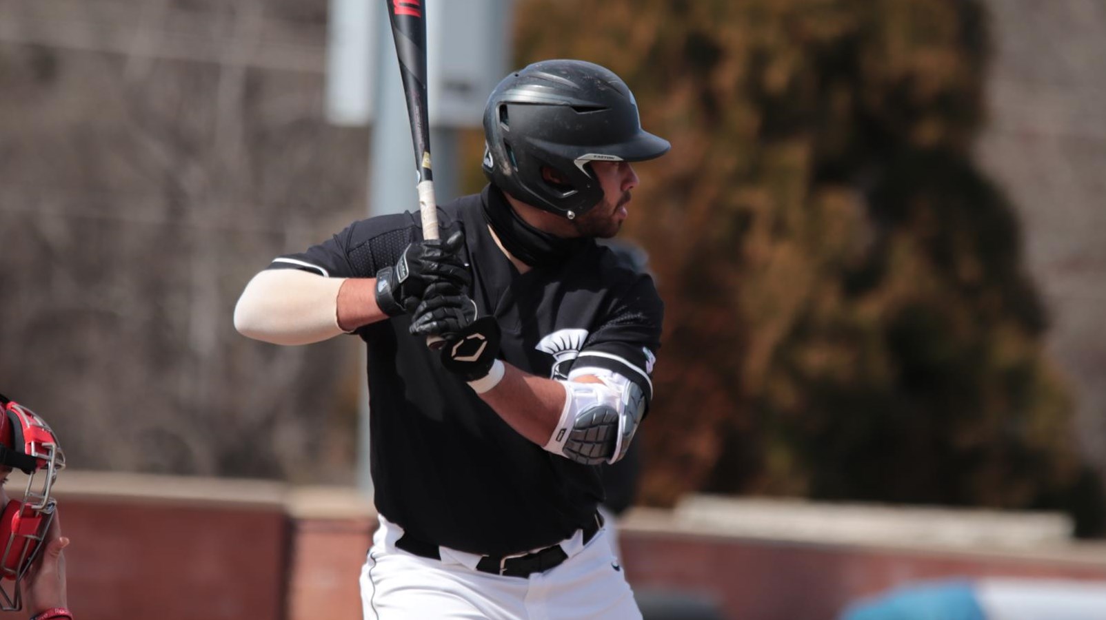 Late Homers Not Enough against No. 18 Louisville - University of South ...