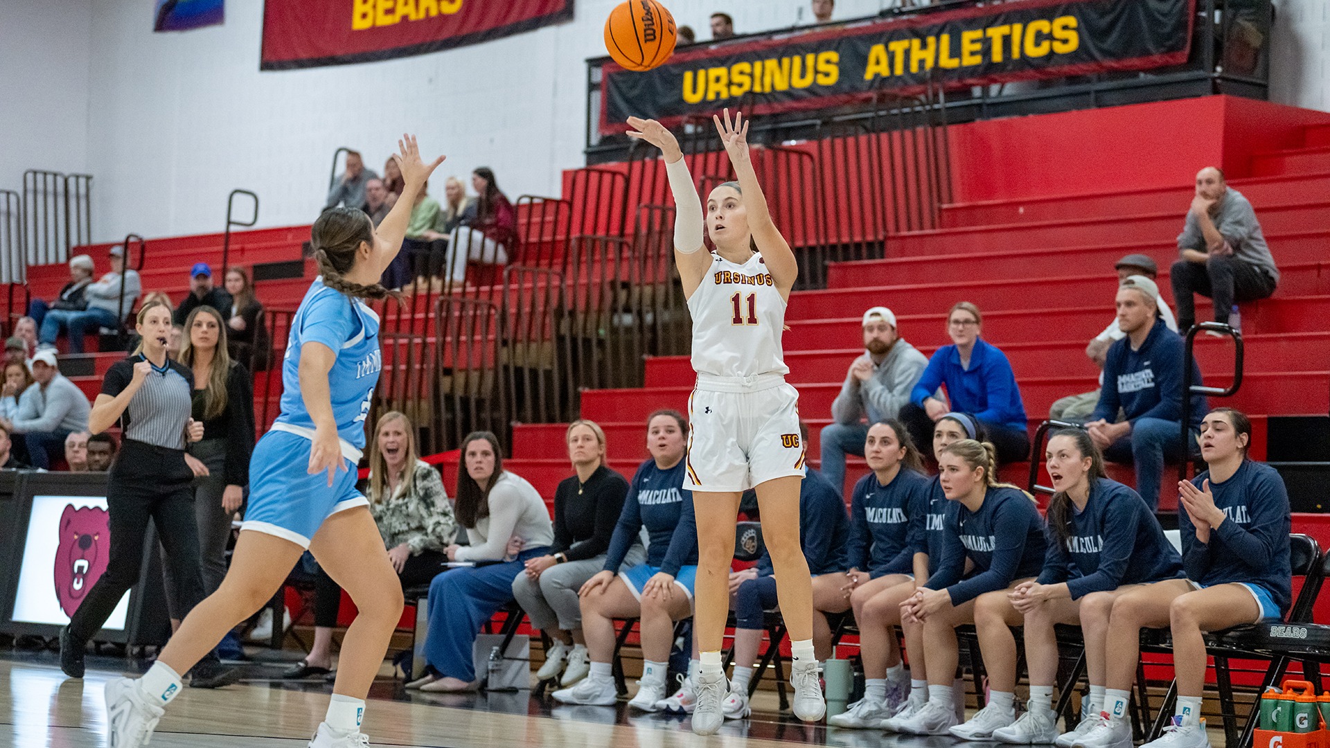 Alison Lisanti - 2023-24 - Women's Basketball - Ursinus College