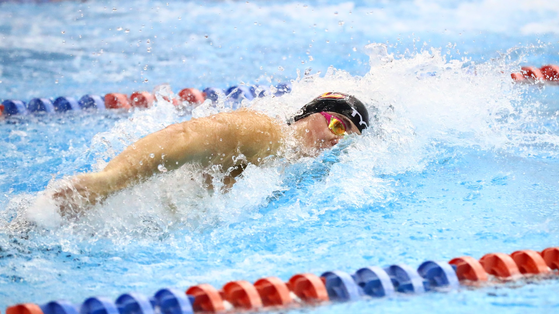 Swimming Teams Earn CSCAA Scholar All-American Honors - Ursinus College