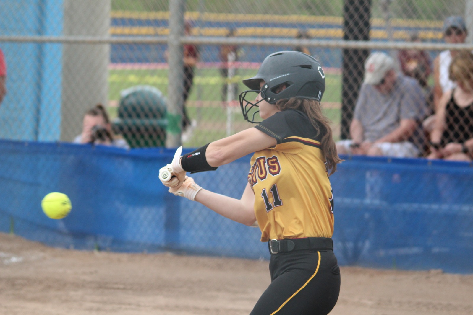 Softball Sweeps Penn State Berks and Simmons in Florida - Ursinus College