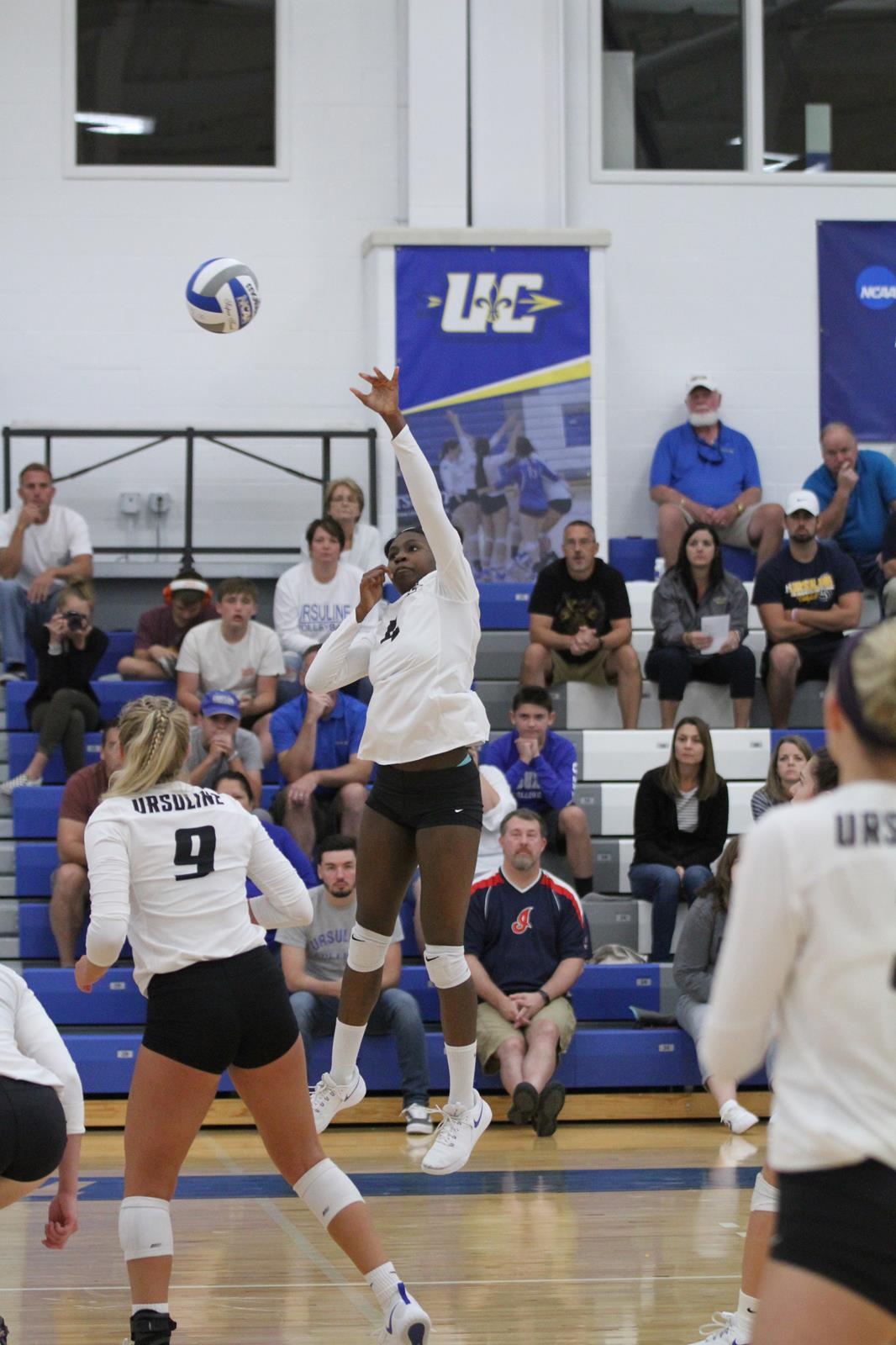 Angela Zamora - Volleyball - Ursuline College Athletics