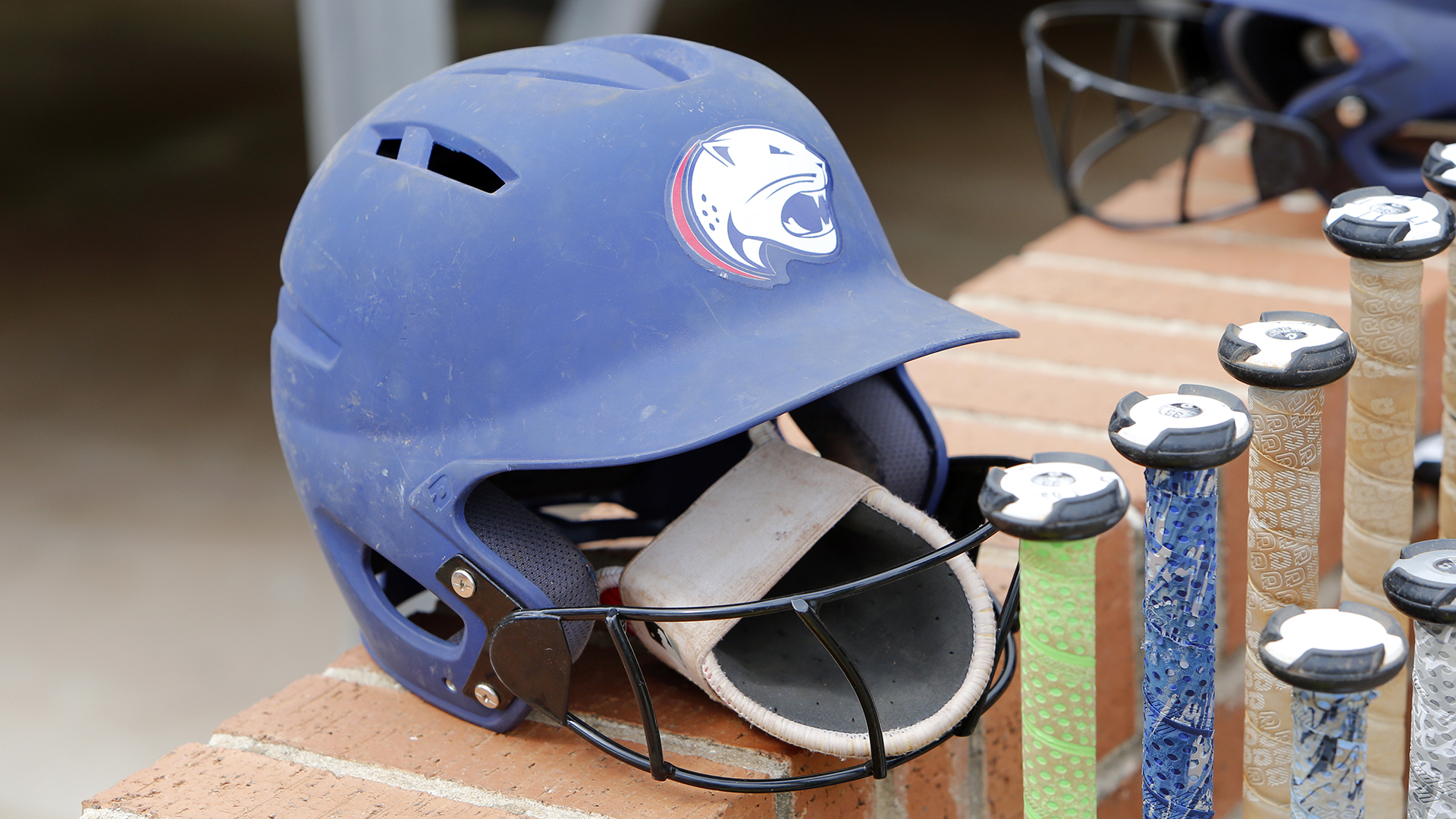 SOUTH ALABAMA SOFTBALL ANNOUNCES THE ADDITION OF THREE MORE TO FALL ...