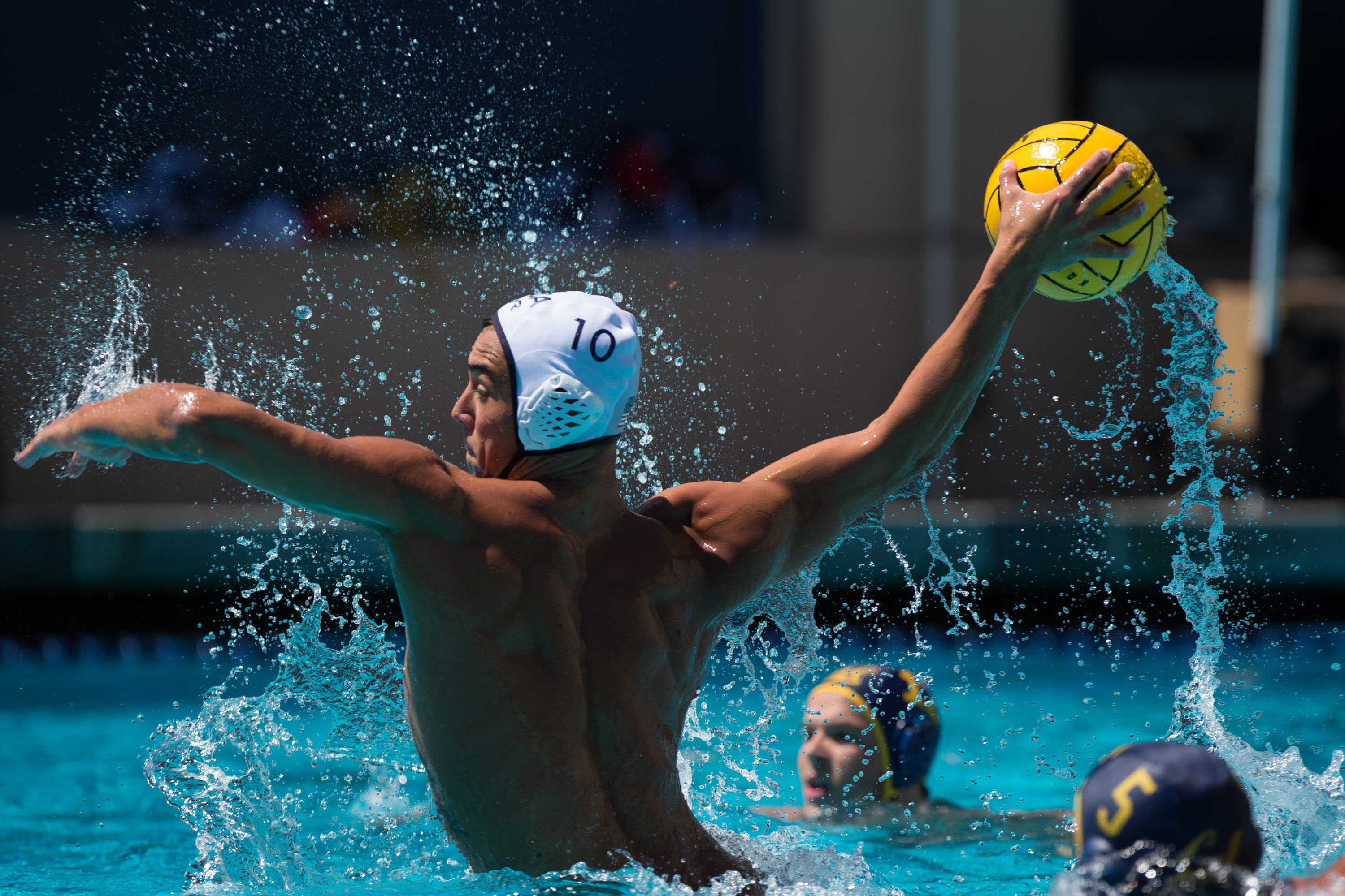 Ben Hallock, Johnny Hooper and Alex Wolf Announced as Finalists for the ...