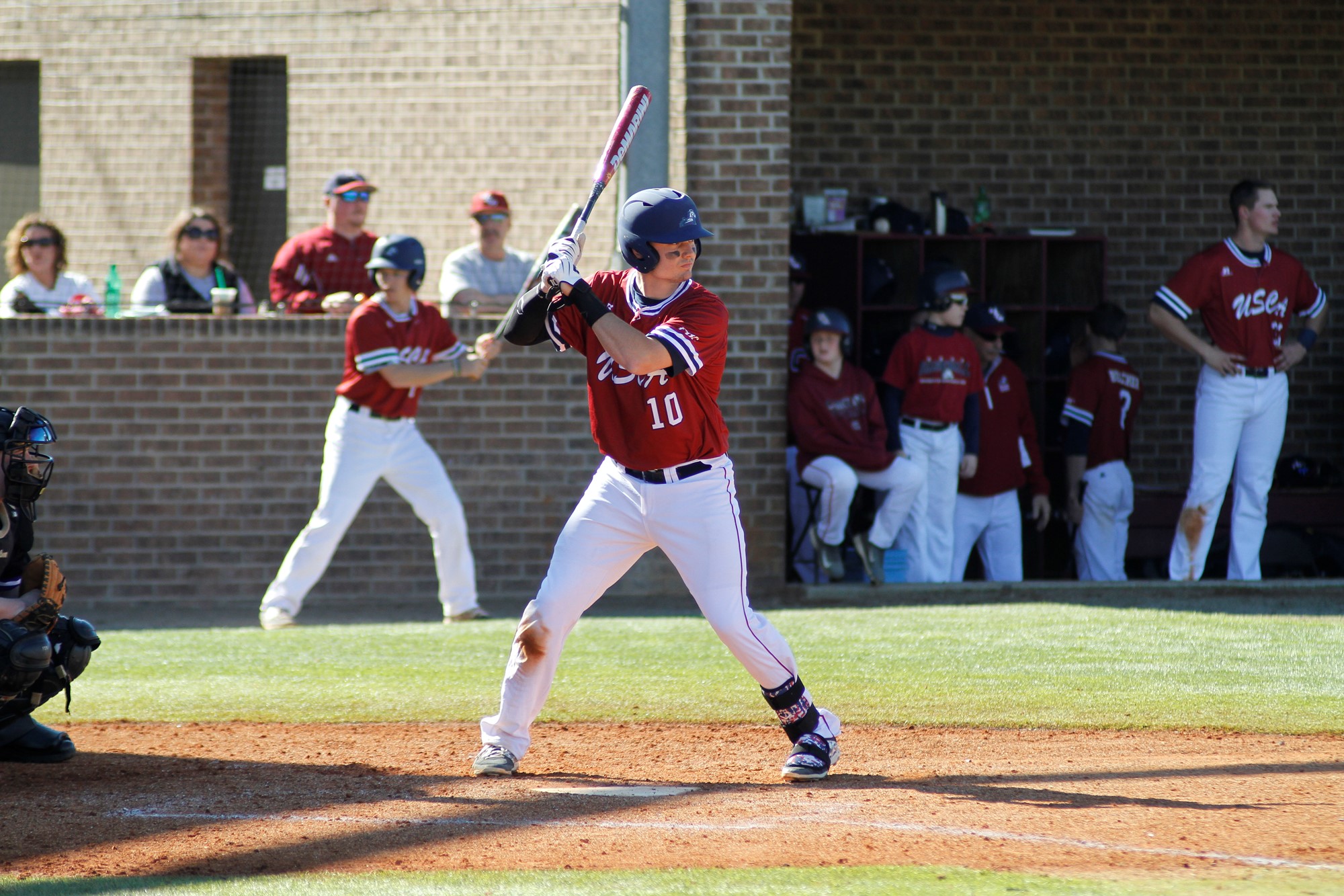 Douglas Ard - Baseball - University of South Carolina Aiken Athletics
