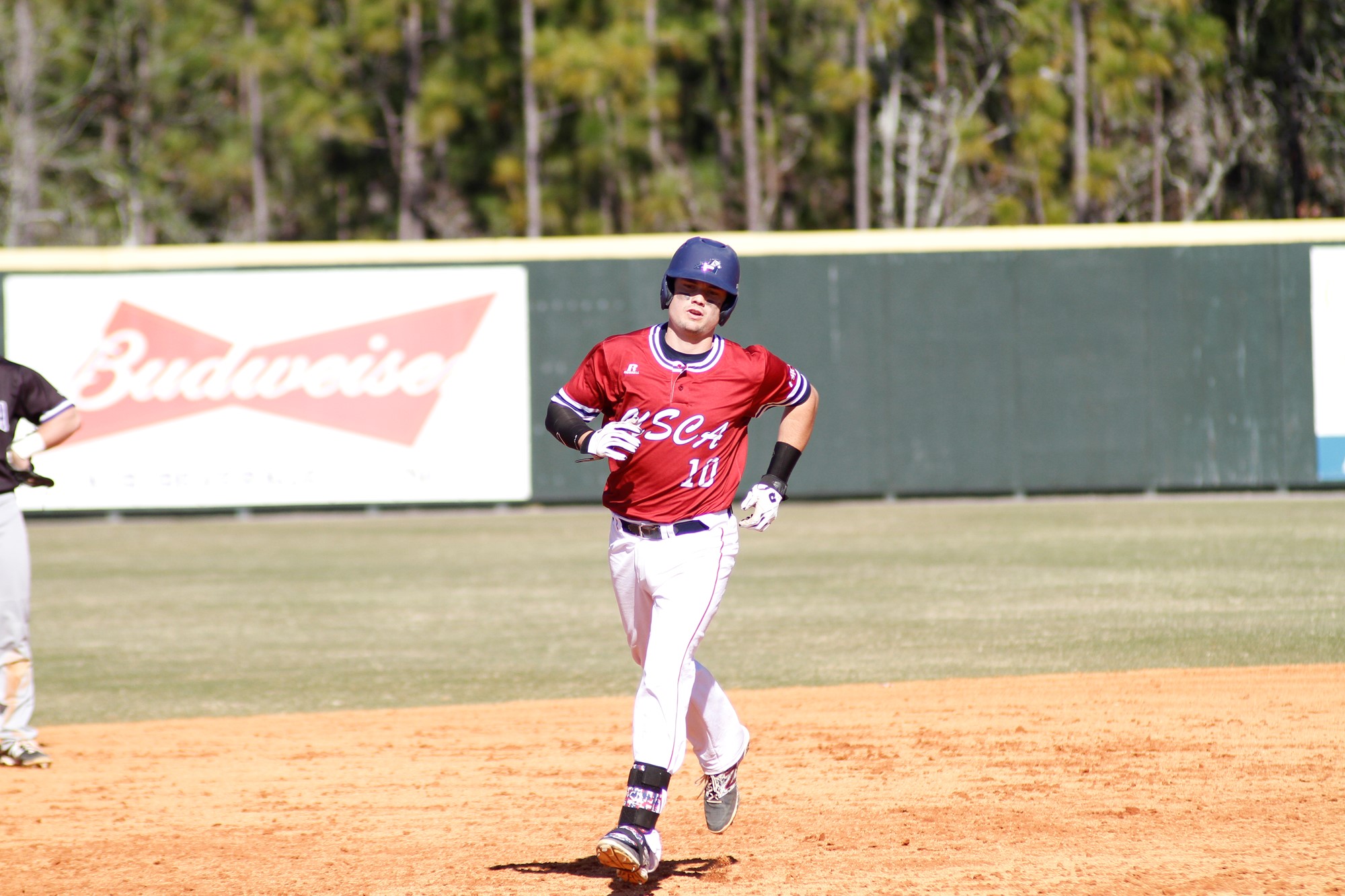 Douglas Ard - Baseball - University of South Carolina Aiken Athletics