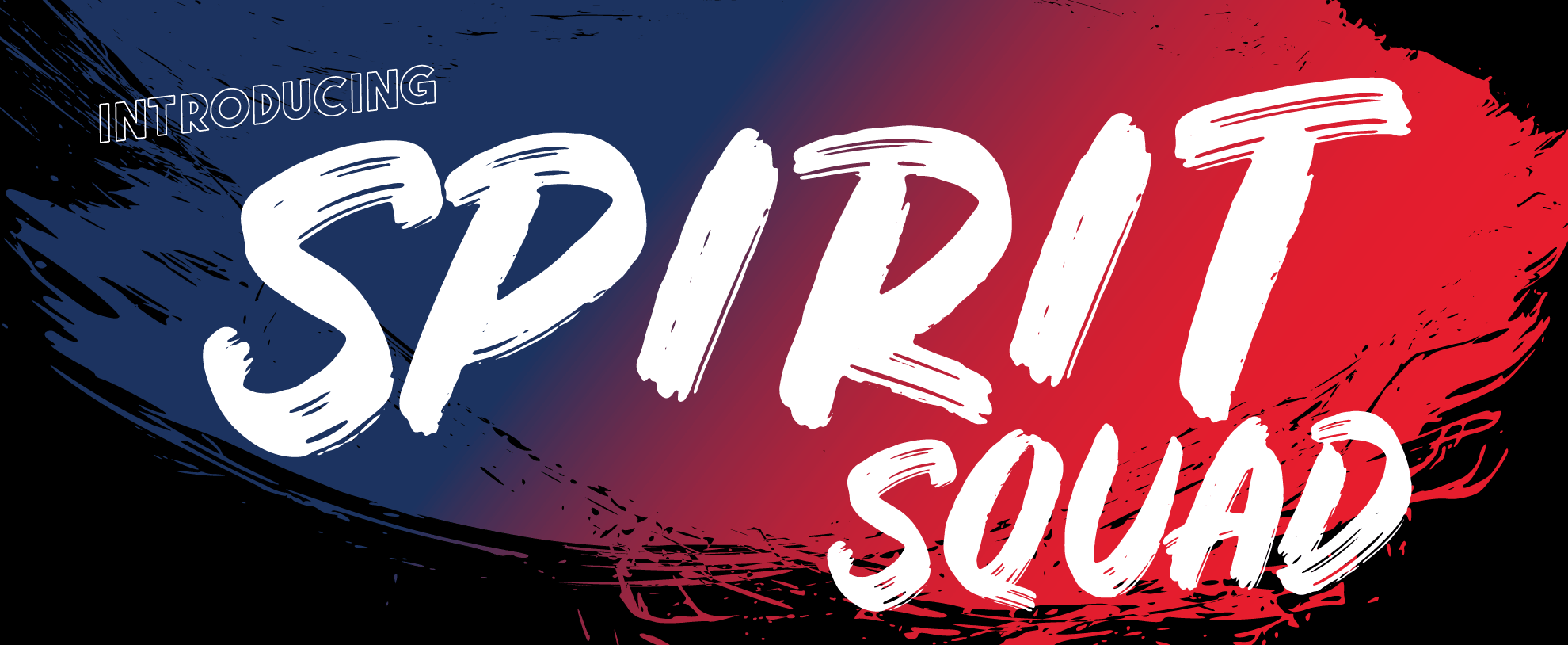 USC Aiken Announces Spirit Squad Team To Begin In 2020-21 School Year ...