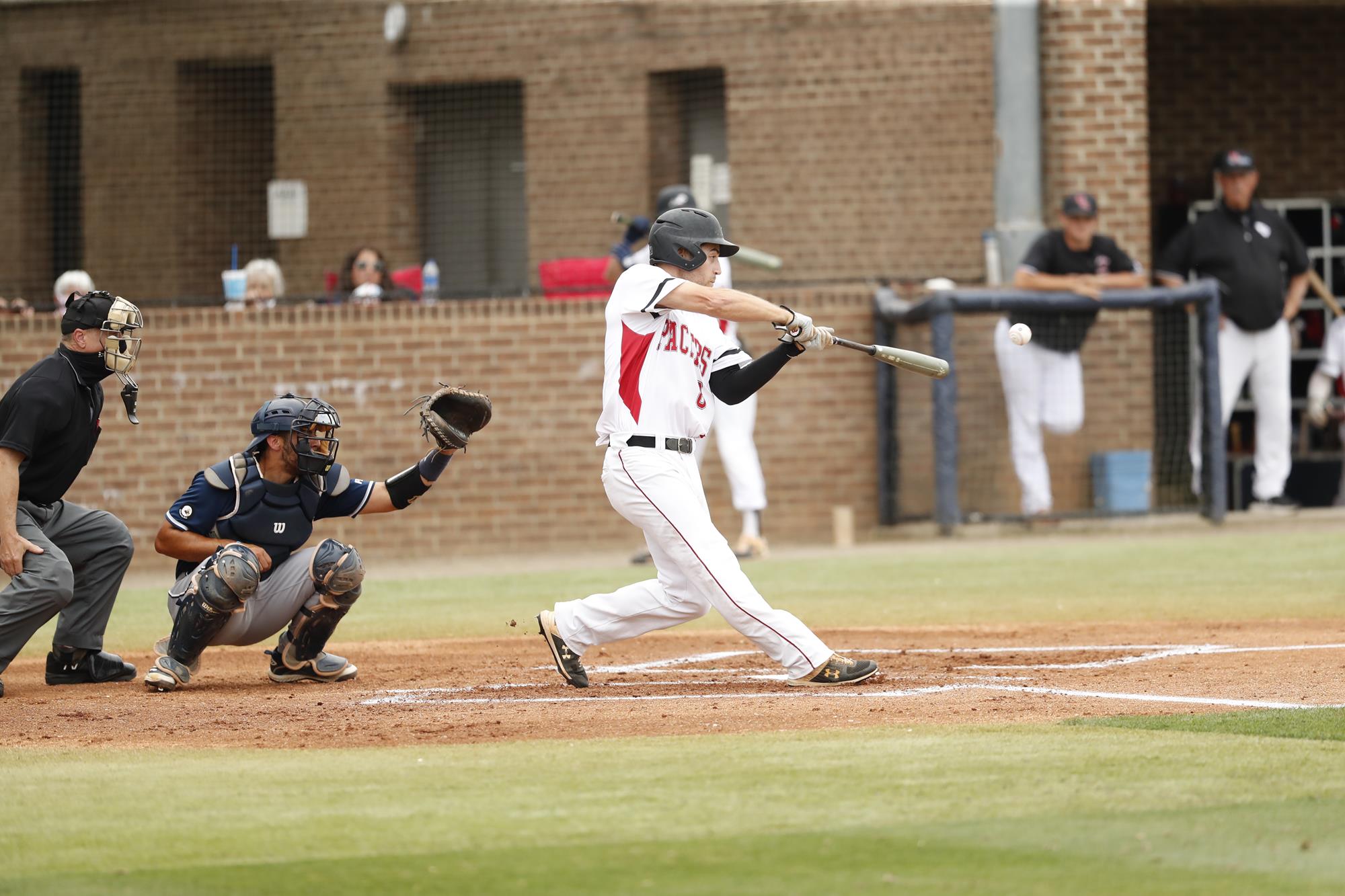 Sean McQuillan - Baseball - University of South Carolina Aiken Athletics
