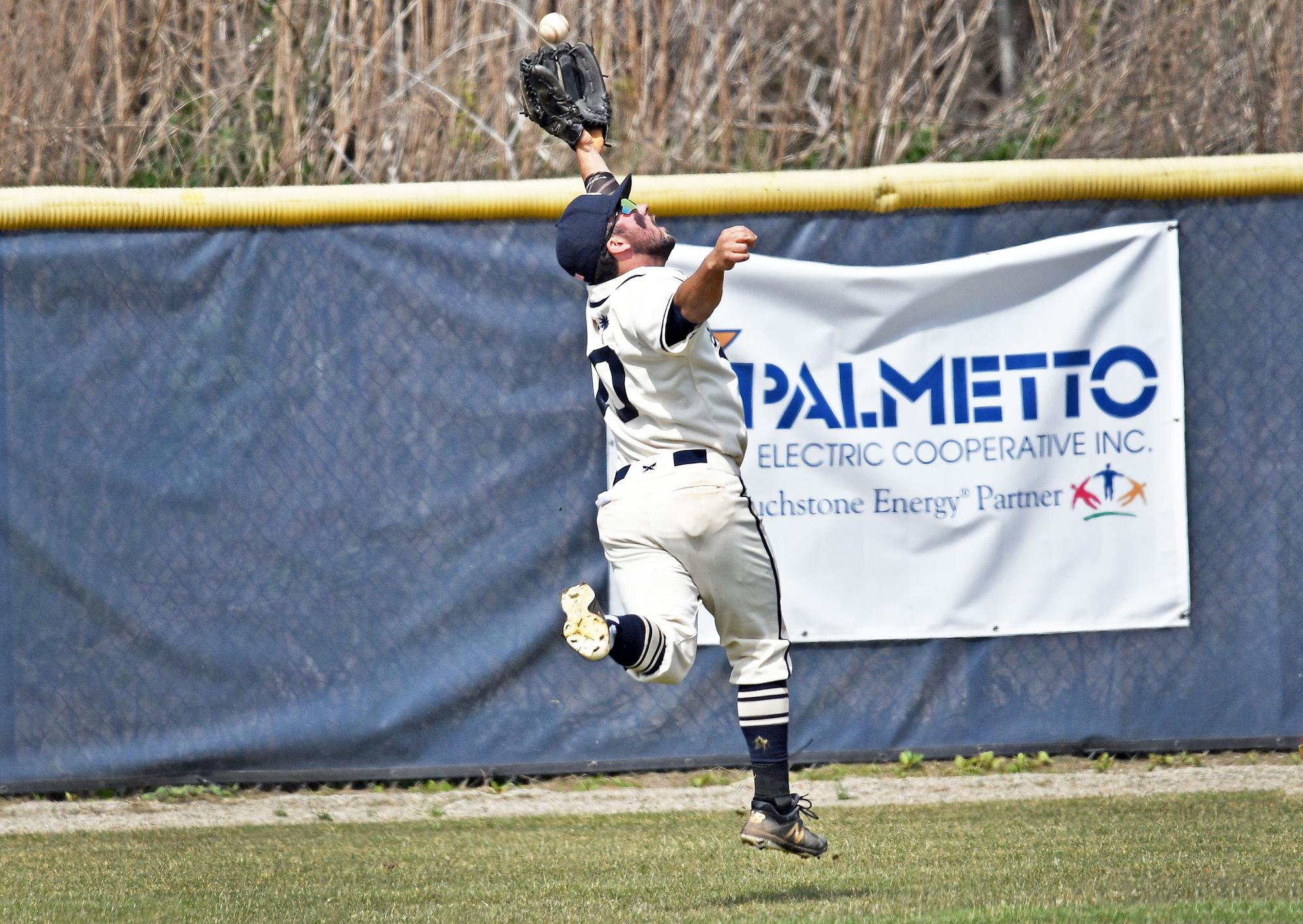 Cole Hamilton - Baseball - USCB Athletics