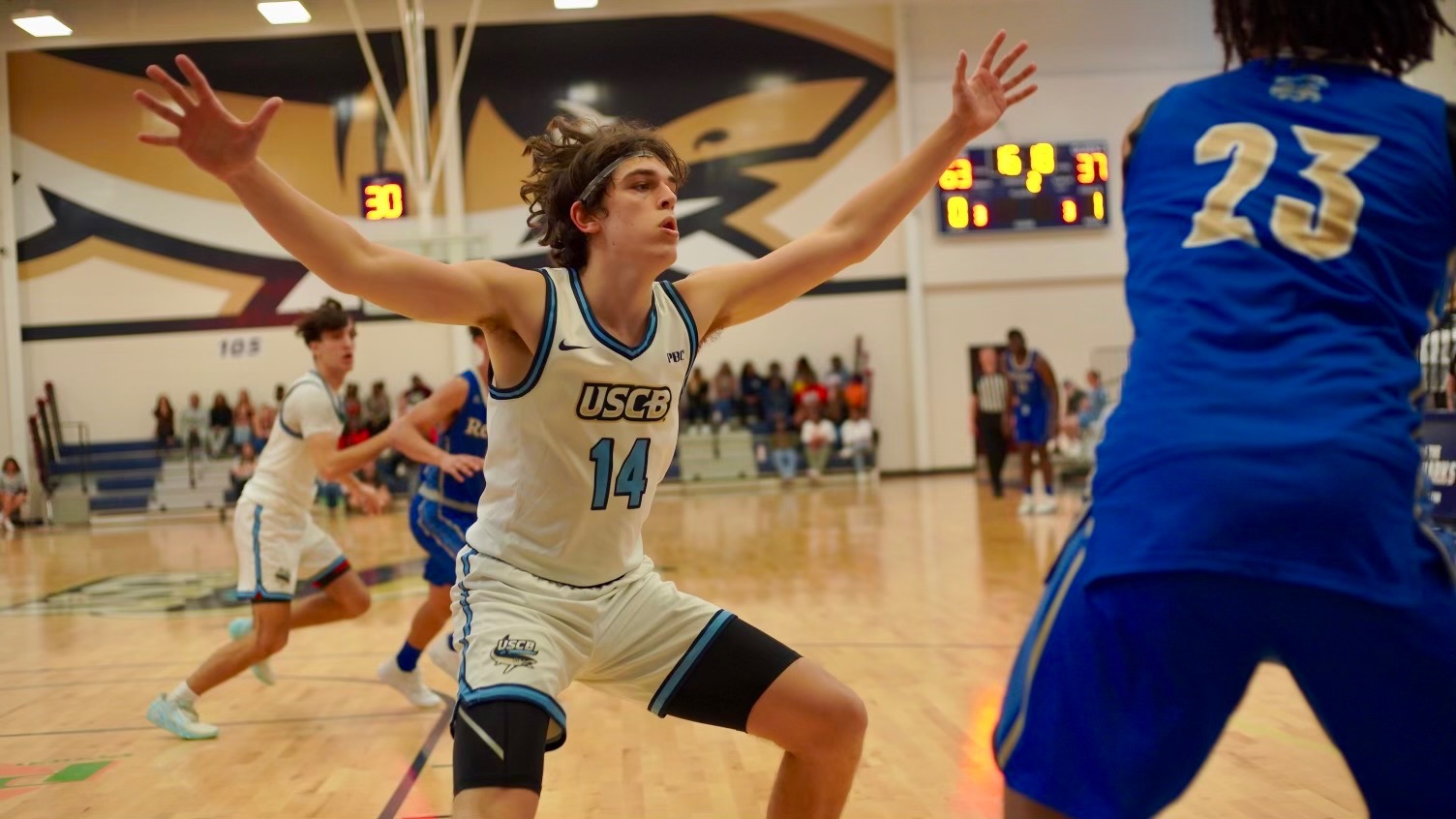 Five Sand Sharks in double-figures; USCB routes Regent - USCB Athletics