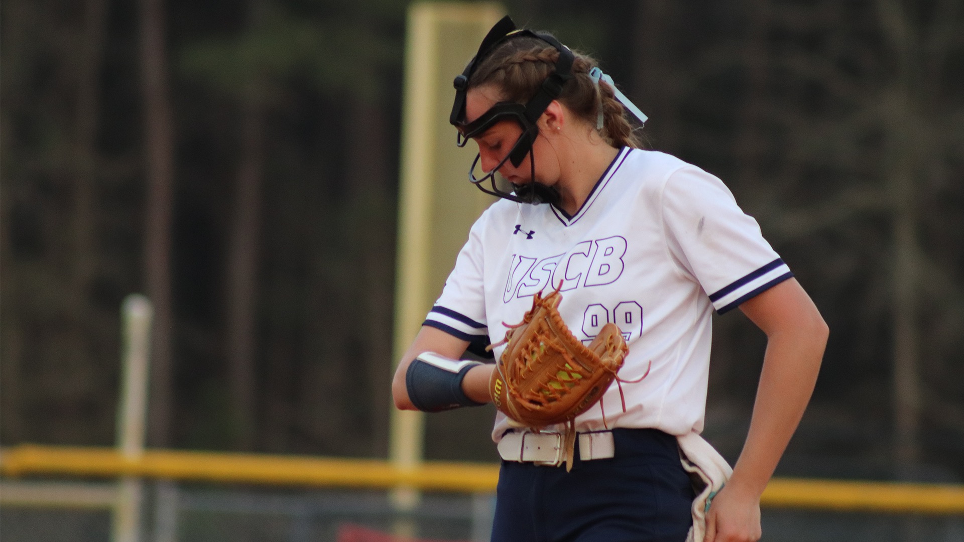 Sand Sharks Drop Heartbreaker to Grizzlies in Opener of CAC Softball ...