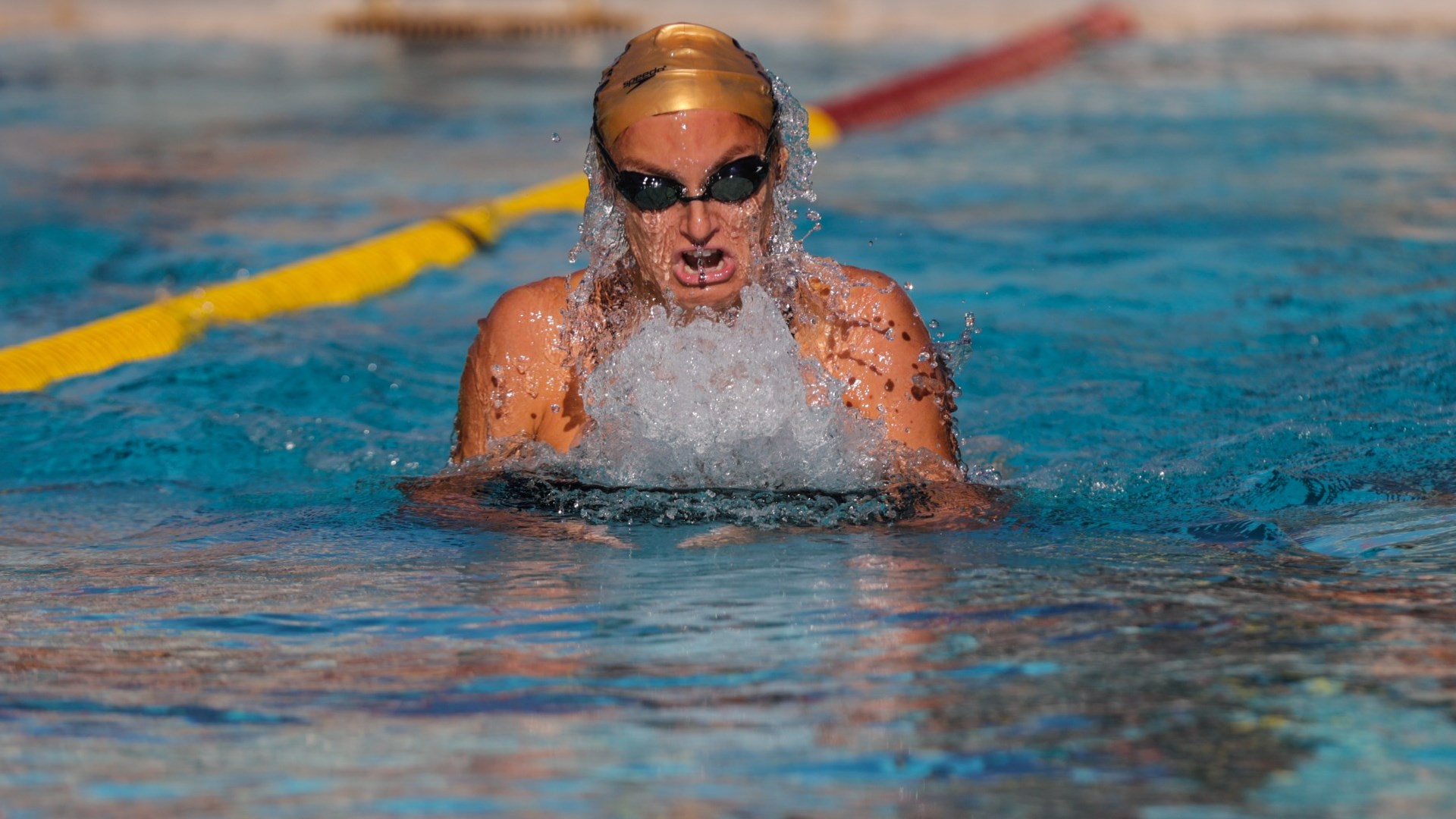 Isabelle Odgers - Women's Swimming & Diving - USC Athletics