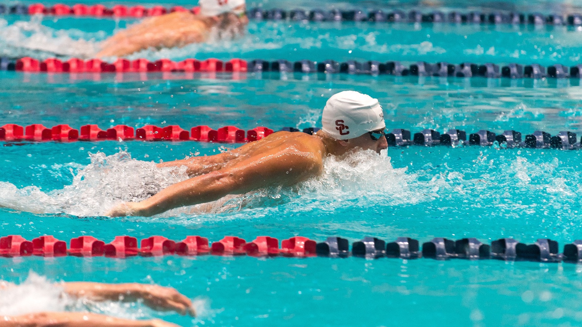 Krzysztof Chmielewski - Men's Swimming & Diving - USC Athletics