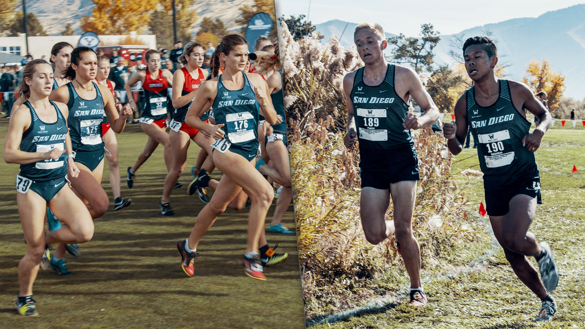 Cross Country Sets Schedule - University of San Diego Athletics