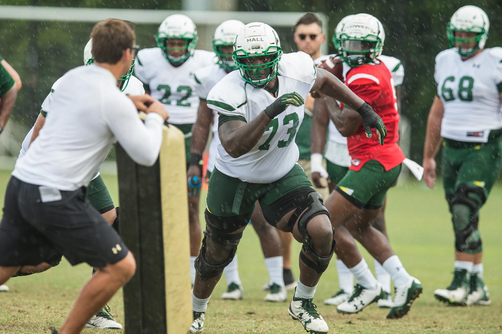 Jeremi Hall - Football - USF Athletics