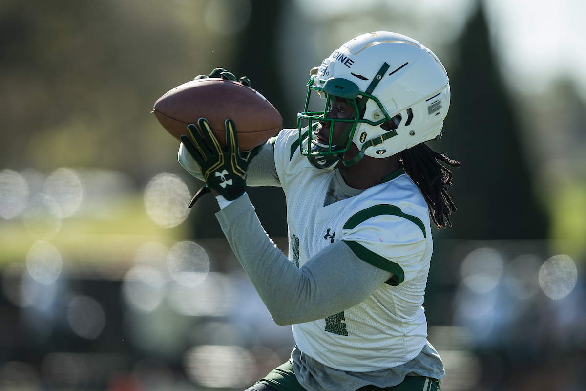 Deangelo Antoine - Football - USF Athletics
