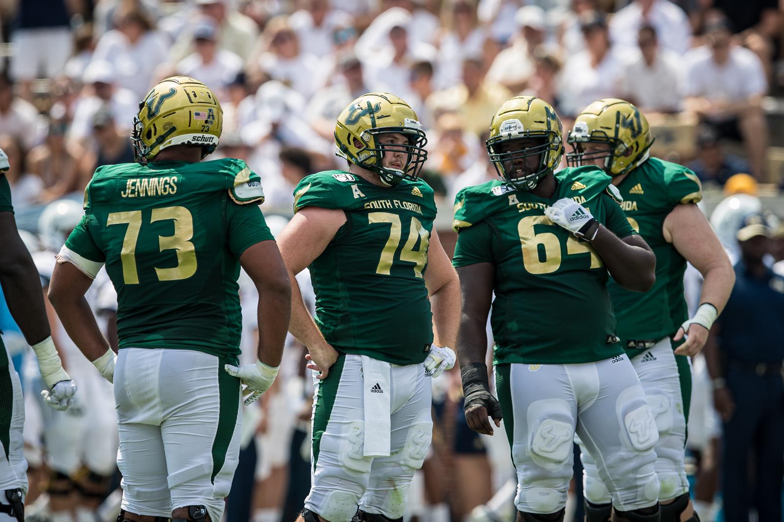 Brad Cecil - Football - USF Athletics