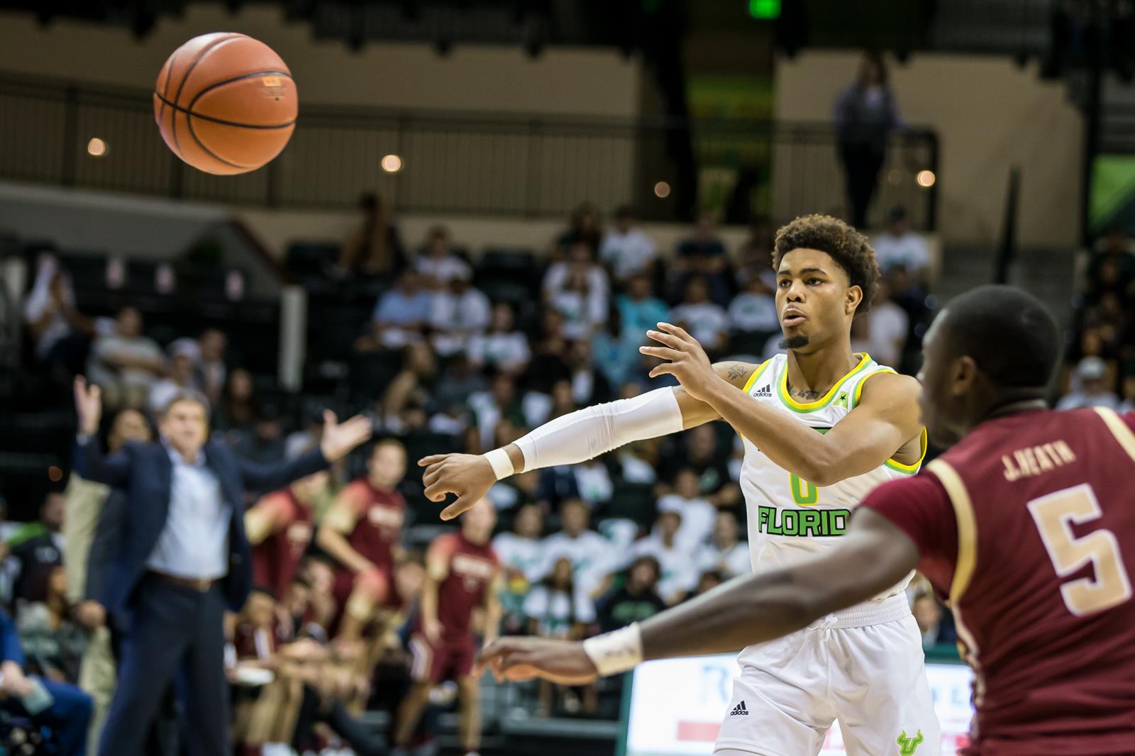 David Collins - Men's Basketball - USF Athletics