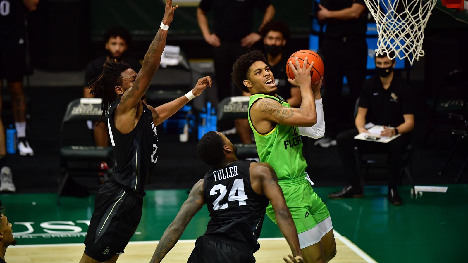 David Collins - Men's Basketball - USF Athletics