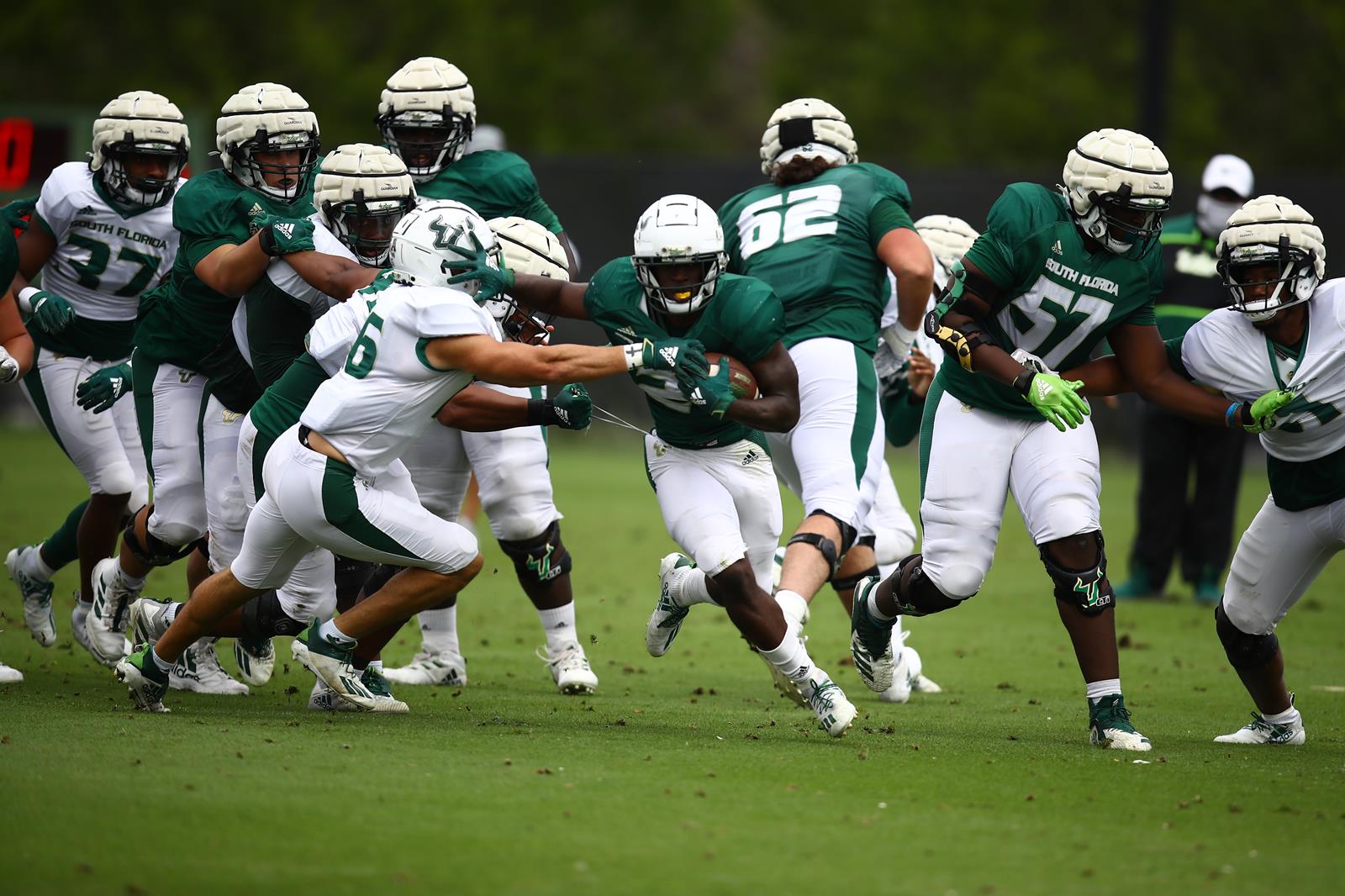 Darrian Felix - Football - USF Athletics