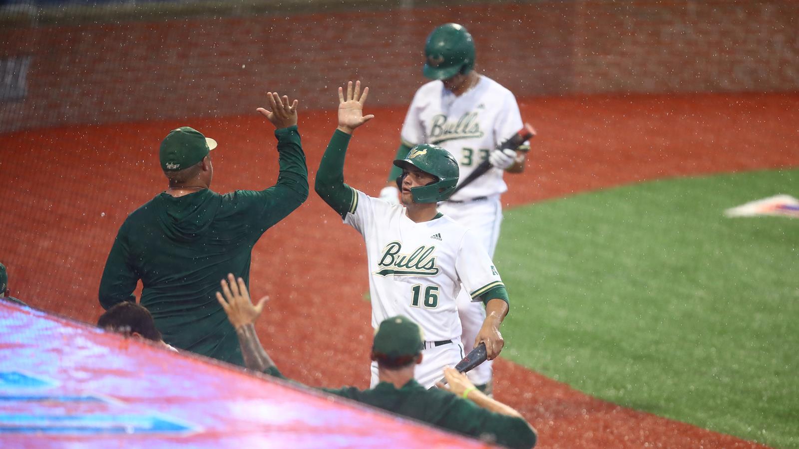 Nelson Rivera - Baseball - USF Athletics
