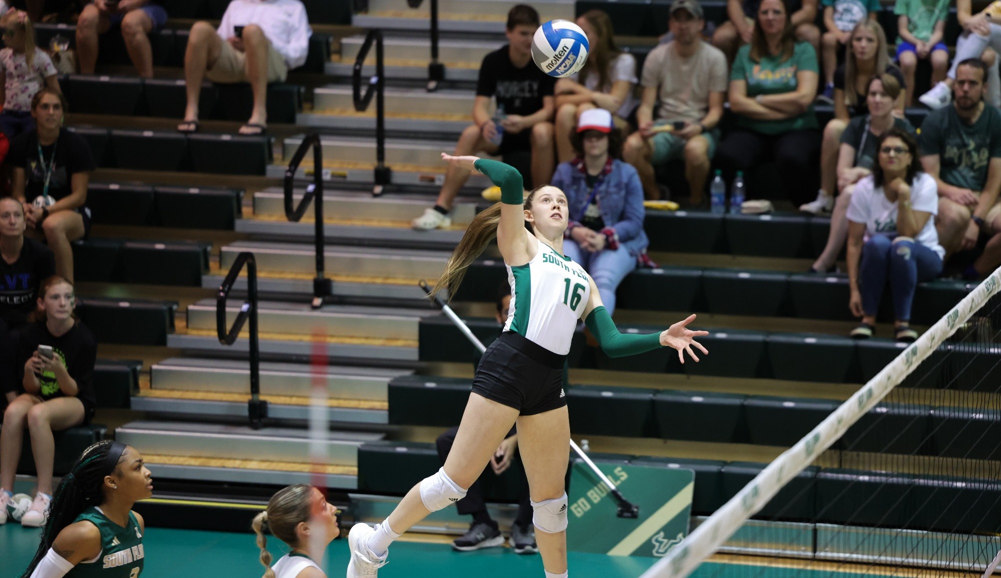 South Florida Falls at SMU - USF Athletics