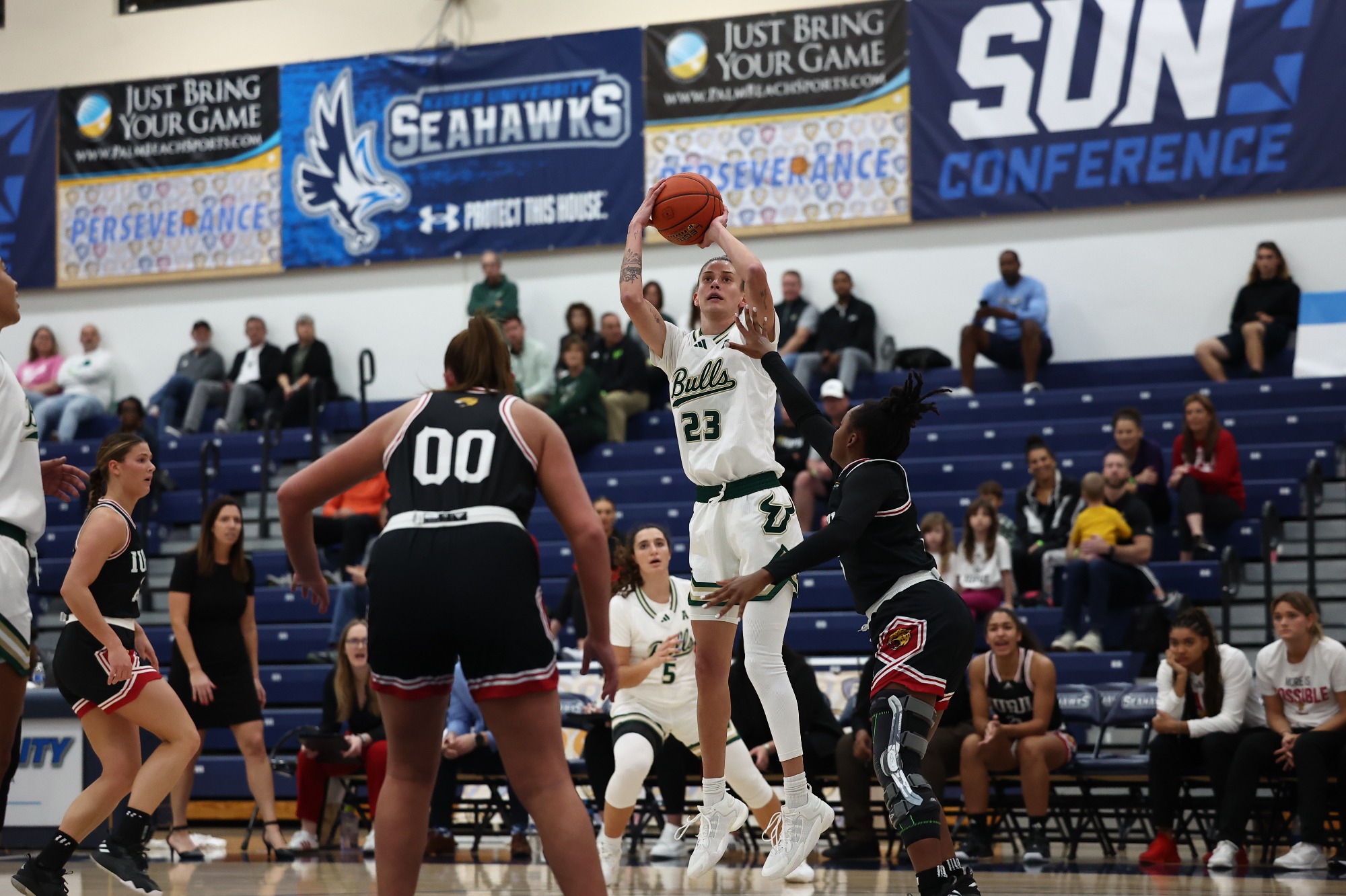 Levy Has Career Day In Bulls 85-49 Win Against IUPUI - USF Athletics