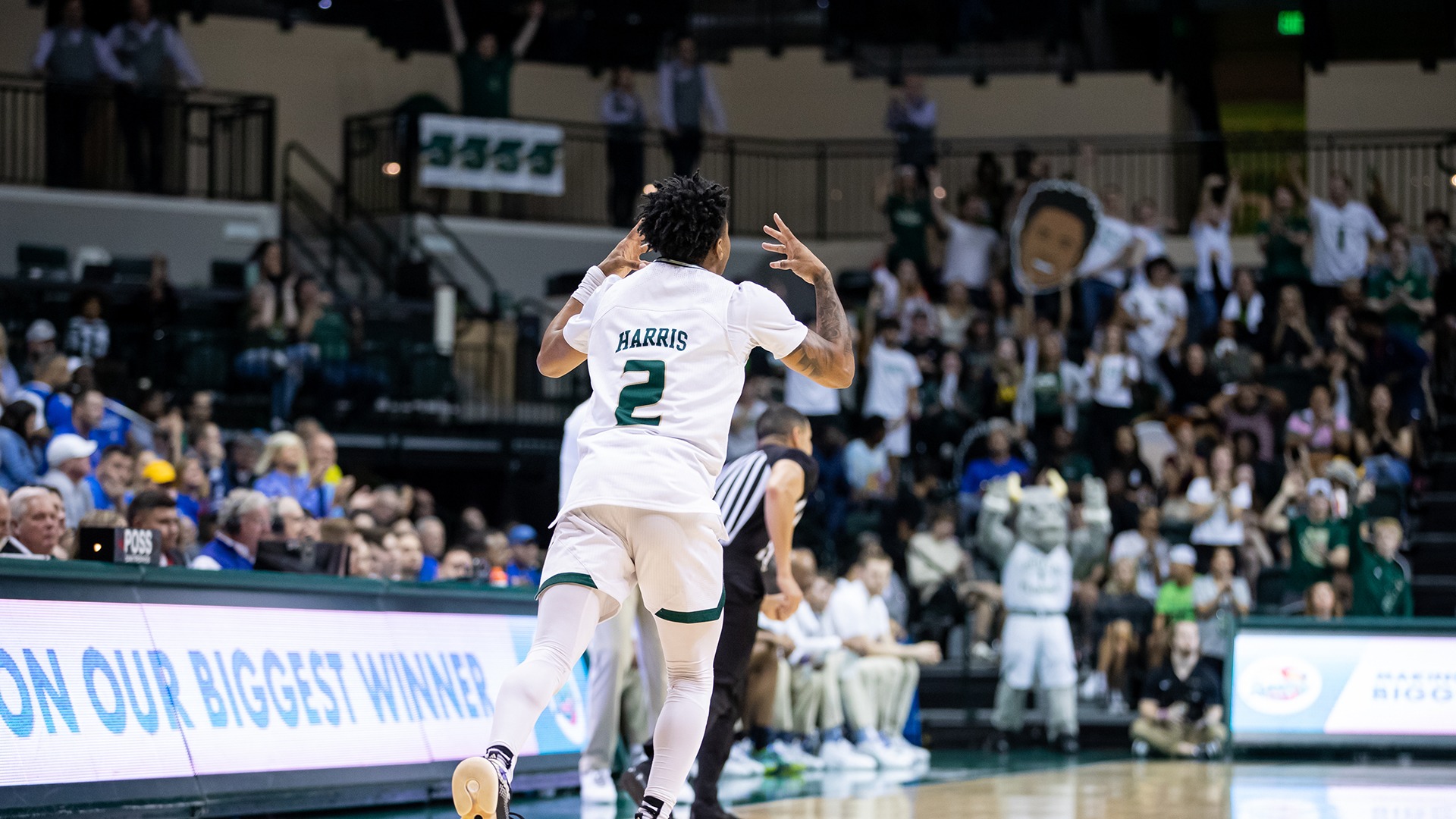 Tyler Harris - Men's Basketball - USF Athletics