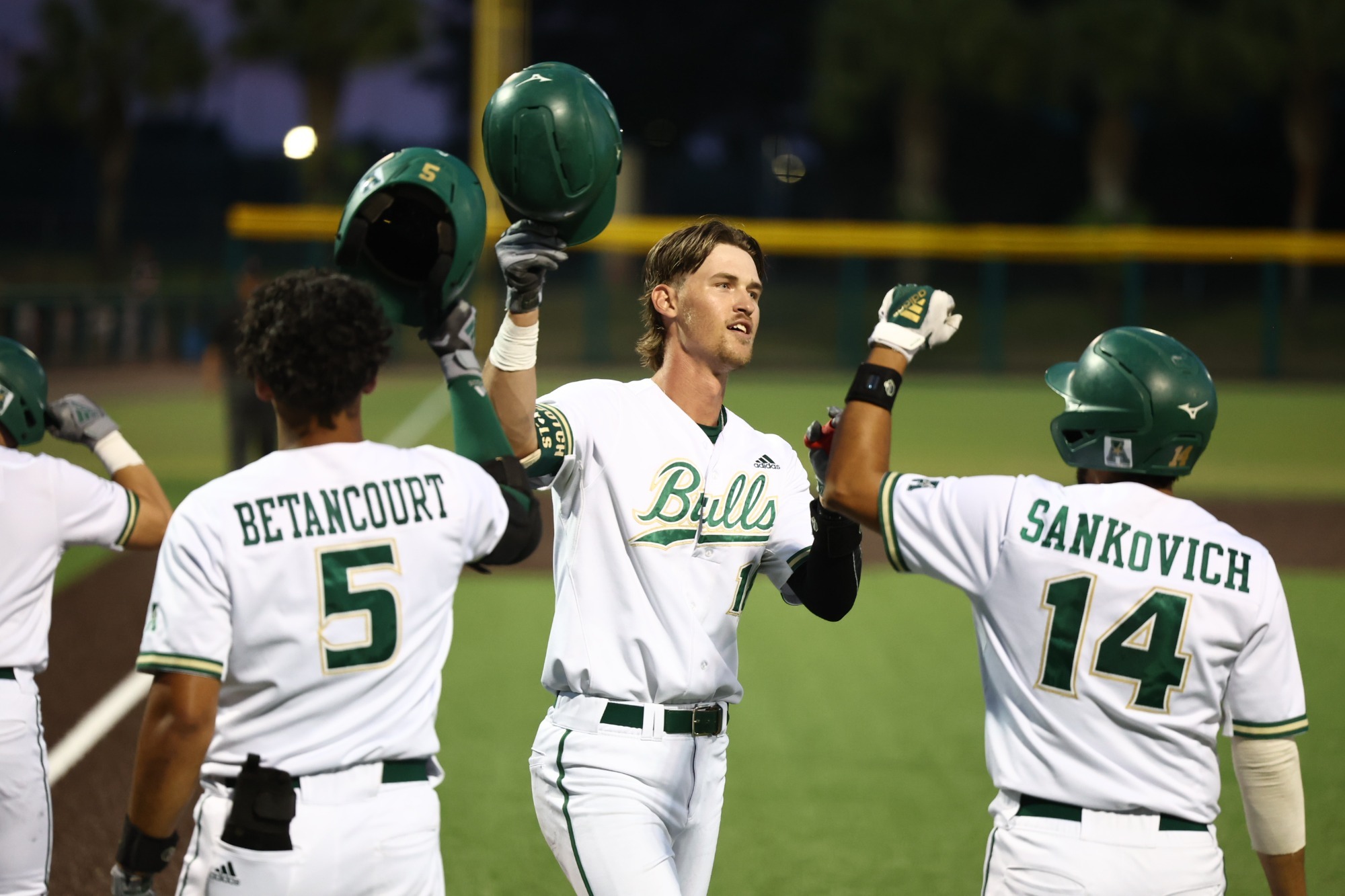 Drew Brutcher - Baseball - USF Athletics