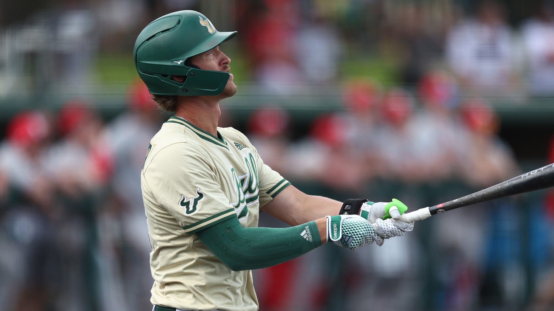 Bulls suffer sweep at Memphis - USF Athletics