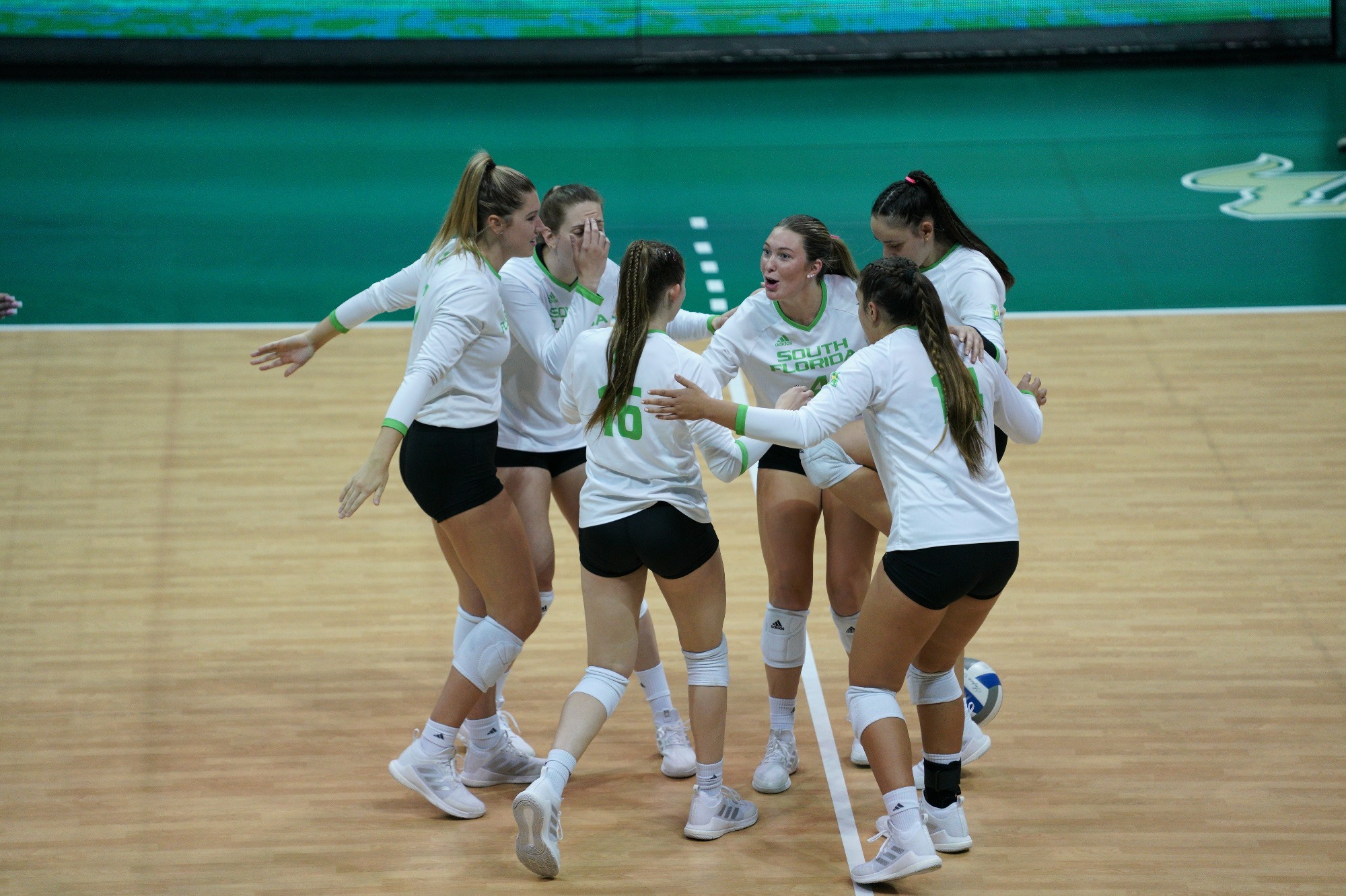 South Florida Splits Opening Day of Bulls Invitational - USF Athletics