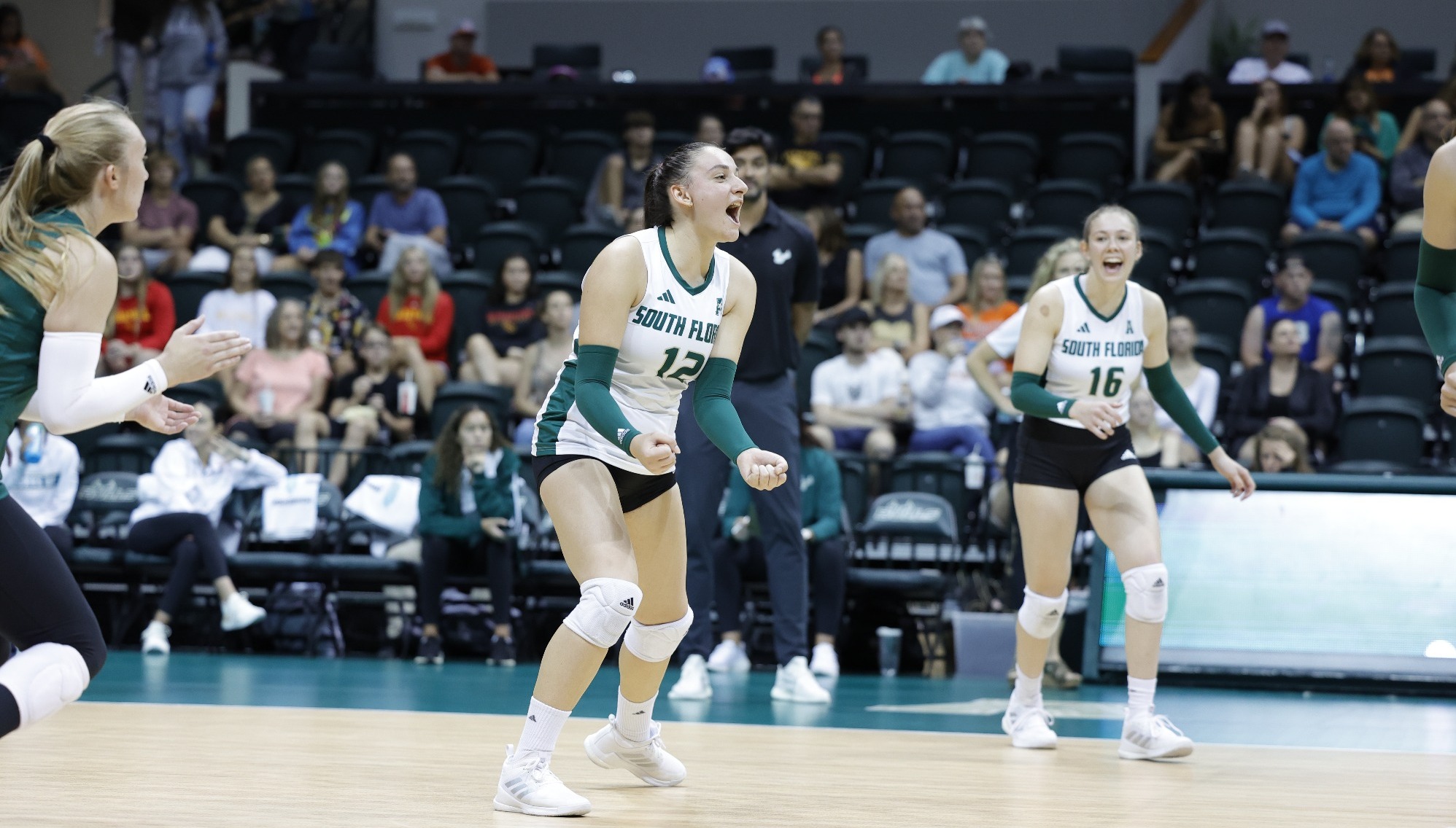 Hazan Leads Volleyball in Sweep Over Memphis - USF Athletics