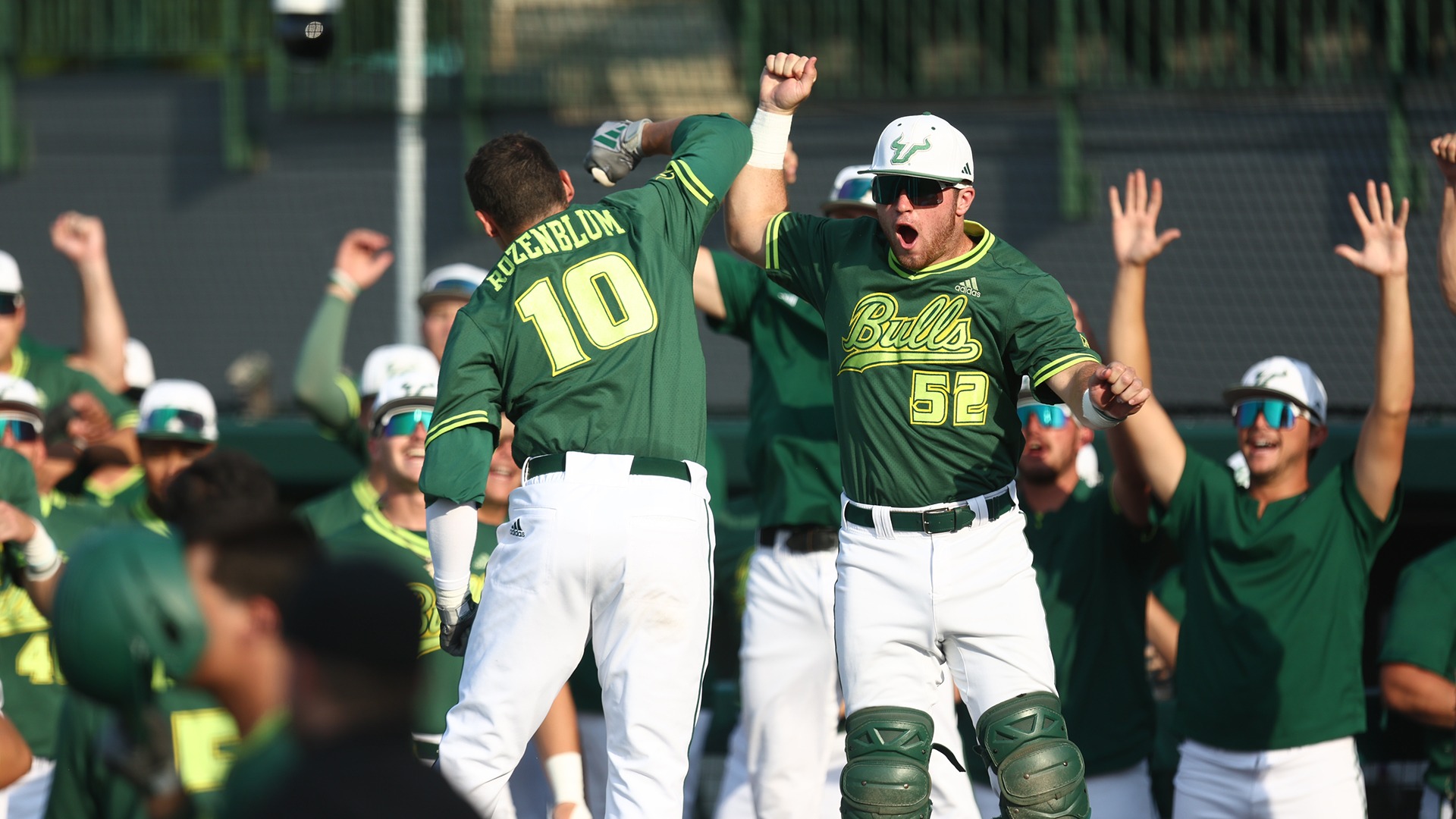 Anthony Saleeba - Baseball - USF Athletics