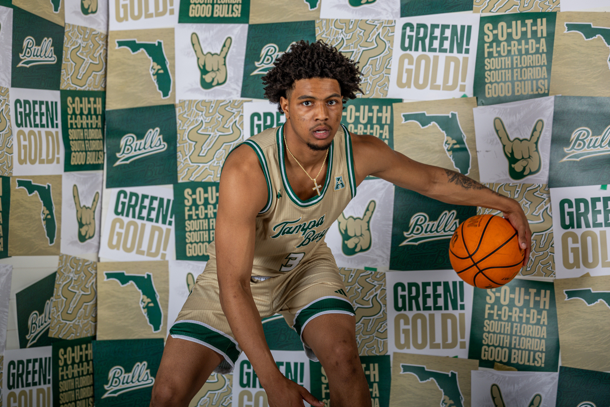 Jimmie Williams - Men's Basketball - USF Athletics