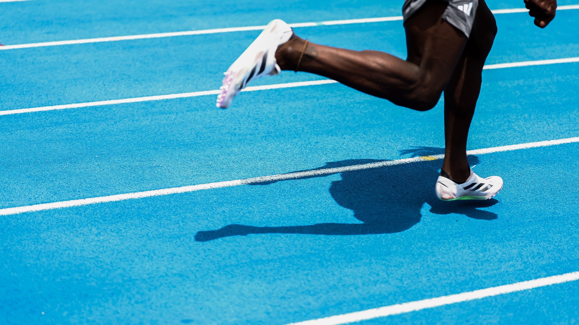 USF Track and Field’s Abdul-Rasheed Saminu Advances to 100m and 200m ...