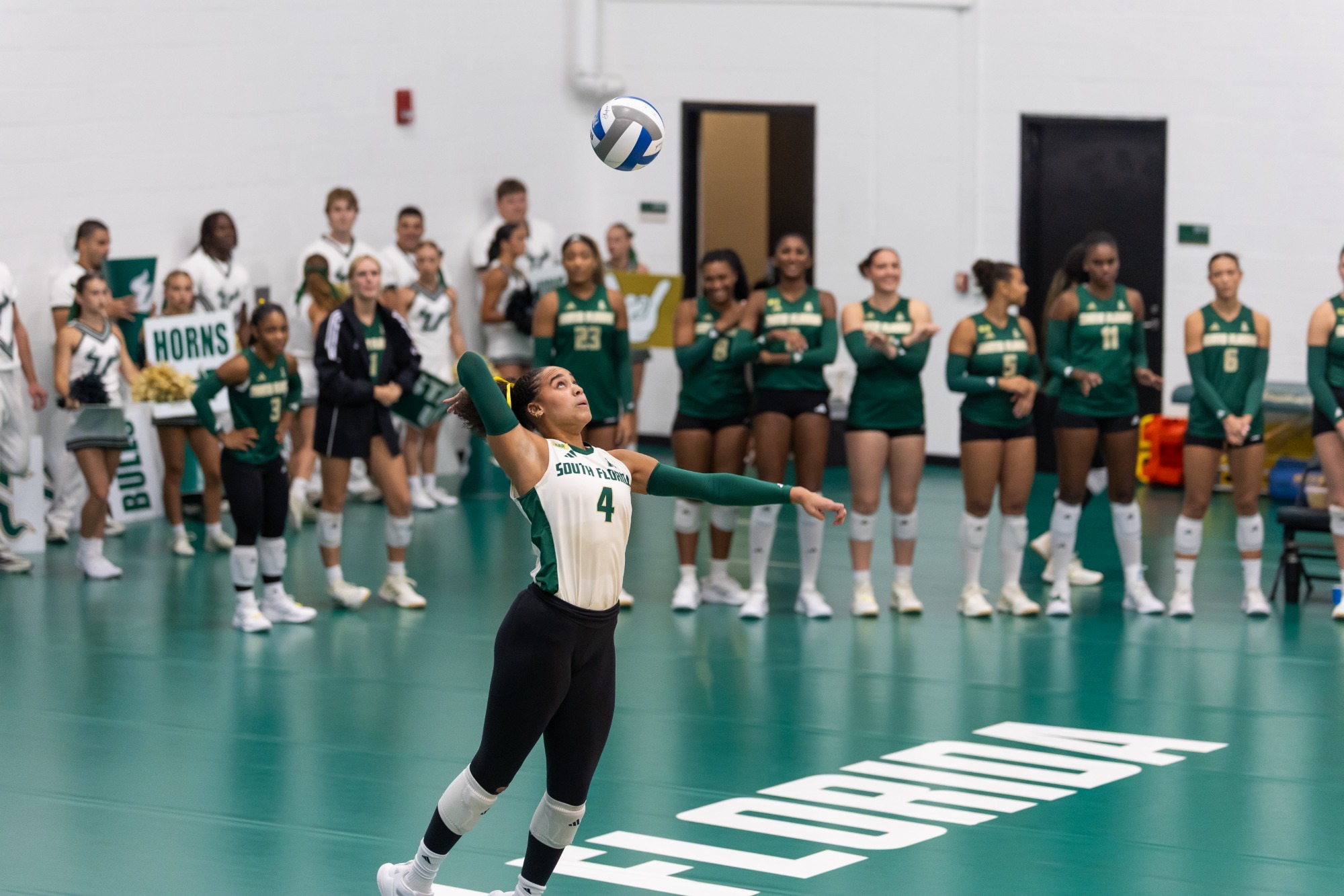 USF Volleyball Prepares for Rigorous Schedule with Revamped Roster ...