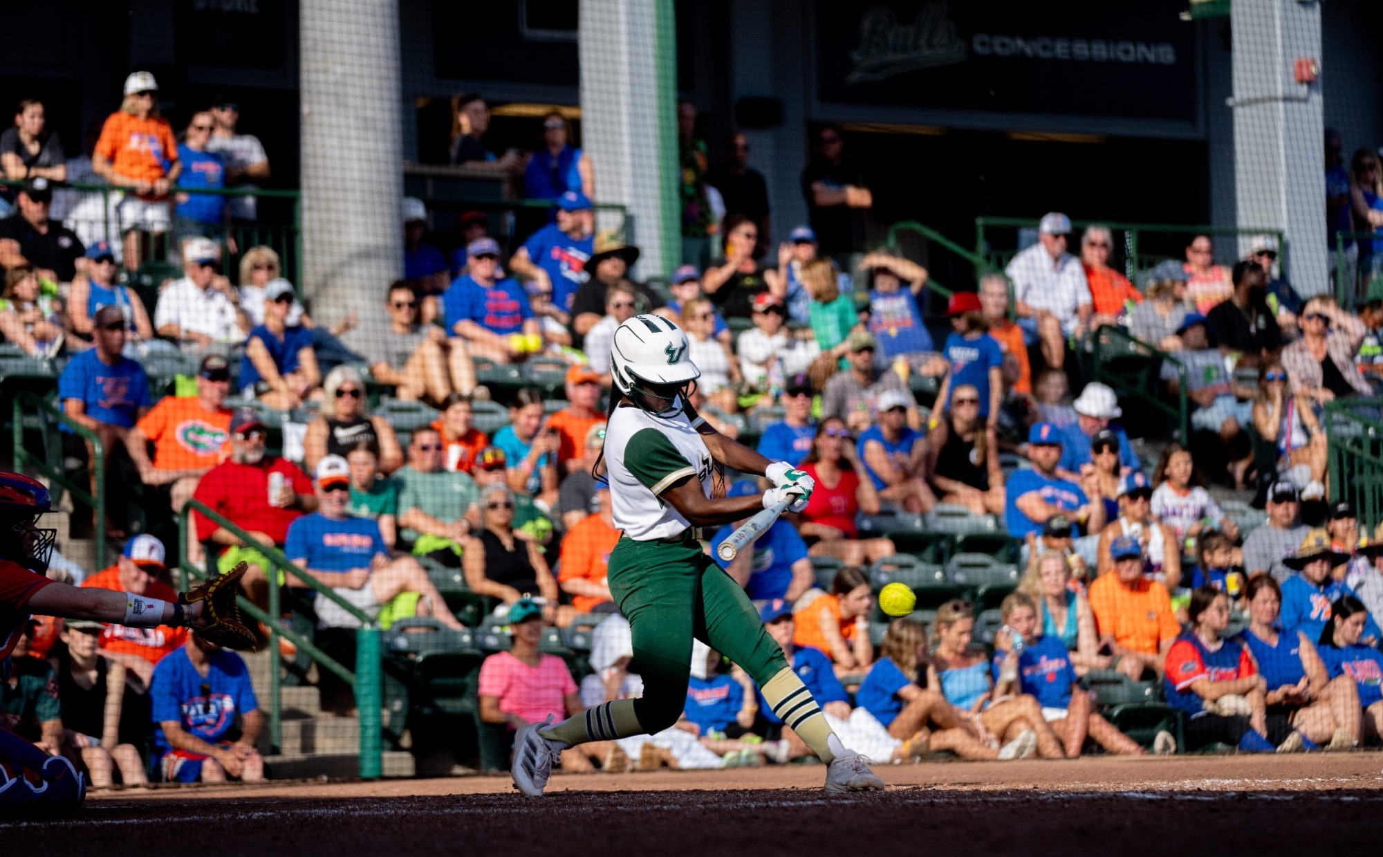 USF Softball Announces 2025 Schedule - USF Athletics