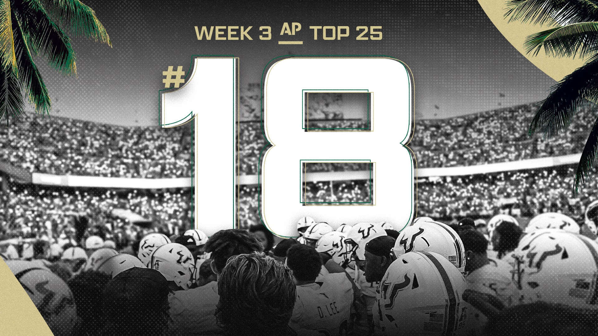 USF Releases Four New On-Campus Stadium Renderings Ahead of ...